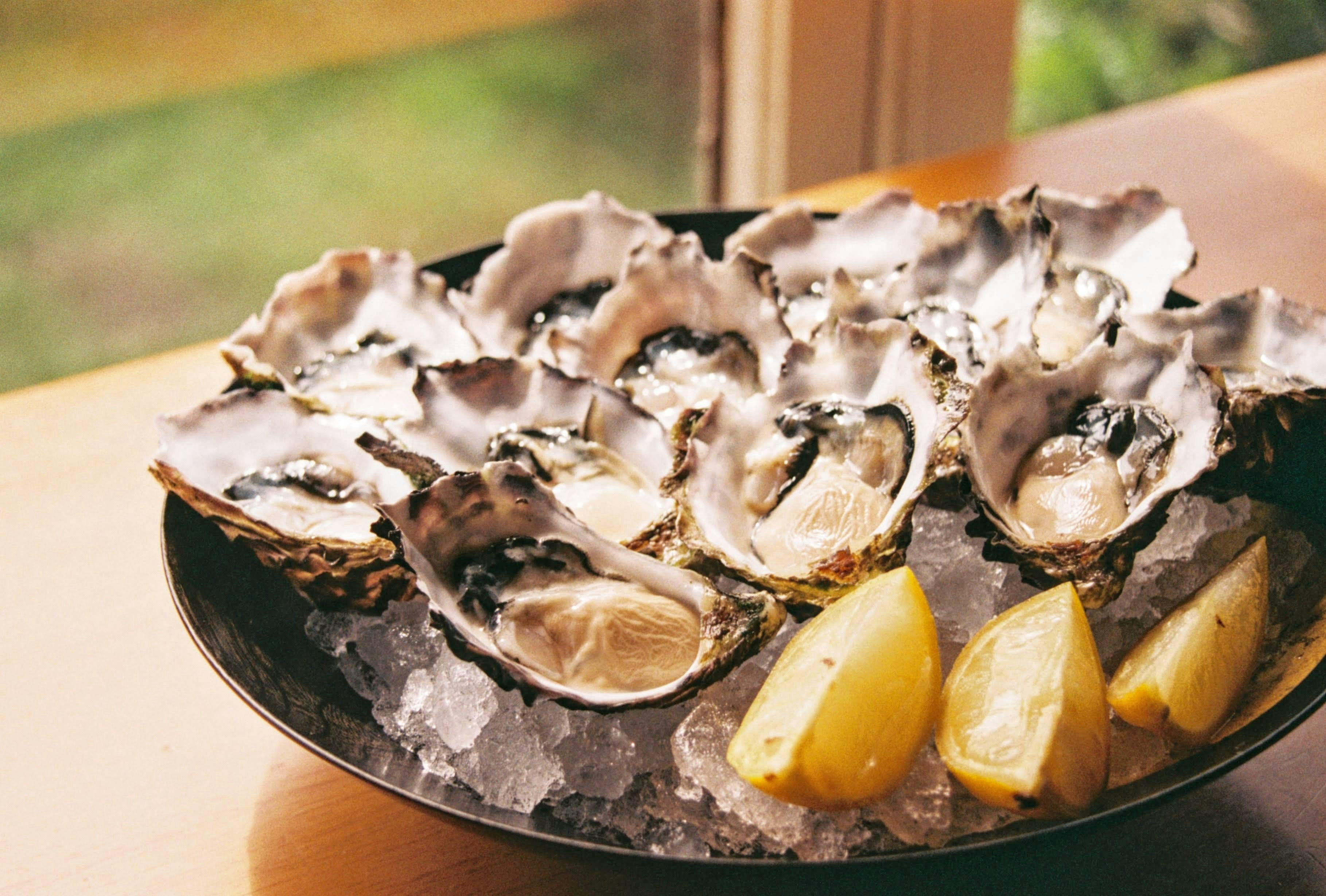 Local North Carolina Oysters! | Blog | Legacy Farms and Ranches