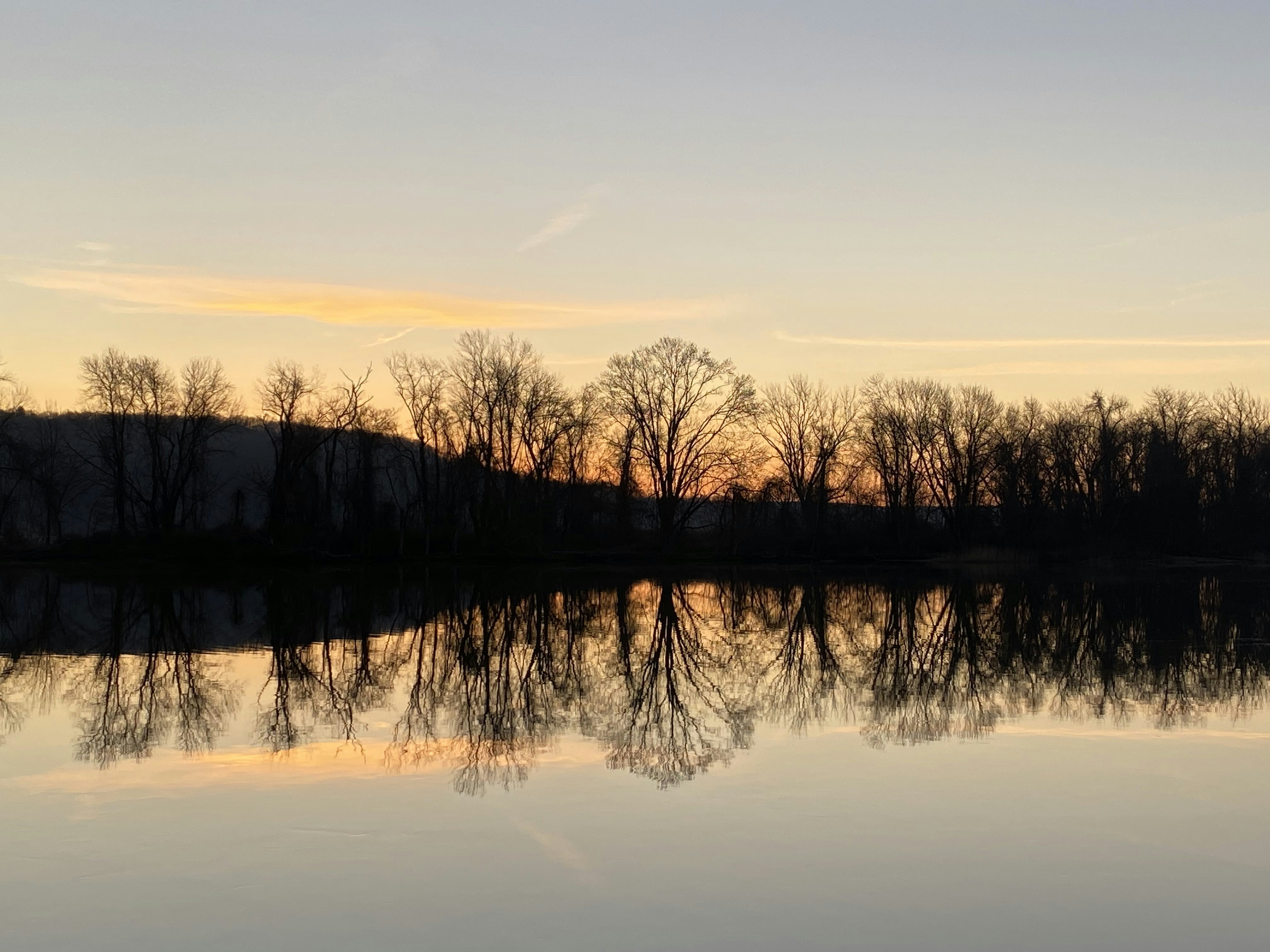 Silhouetted trees lining a tranquil lake at dusk, their reflections mirrored on the calm water's surface.
