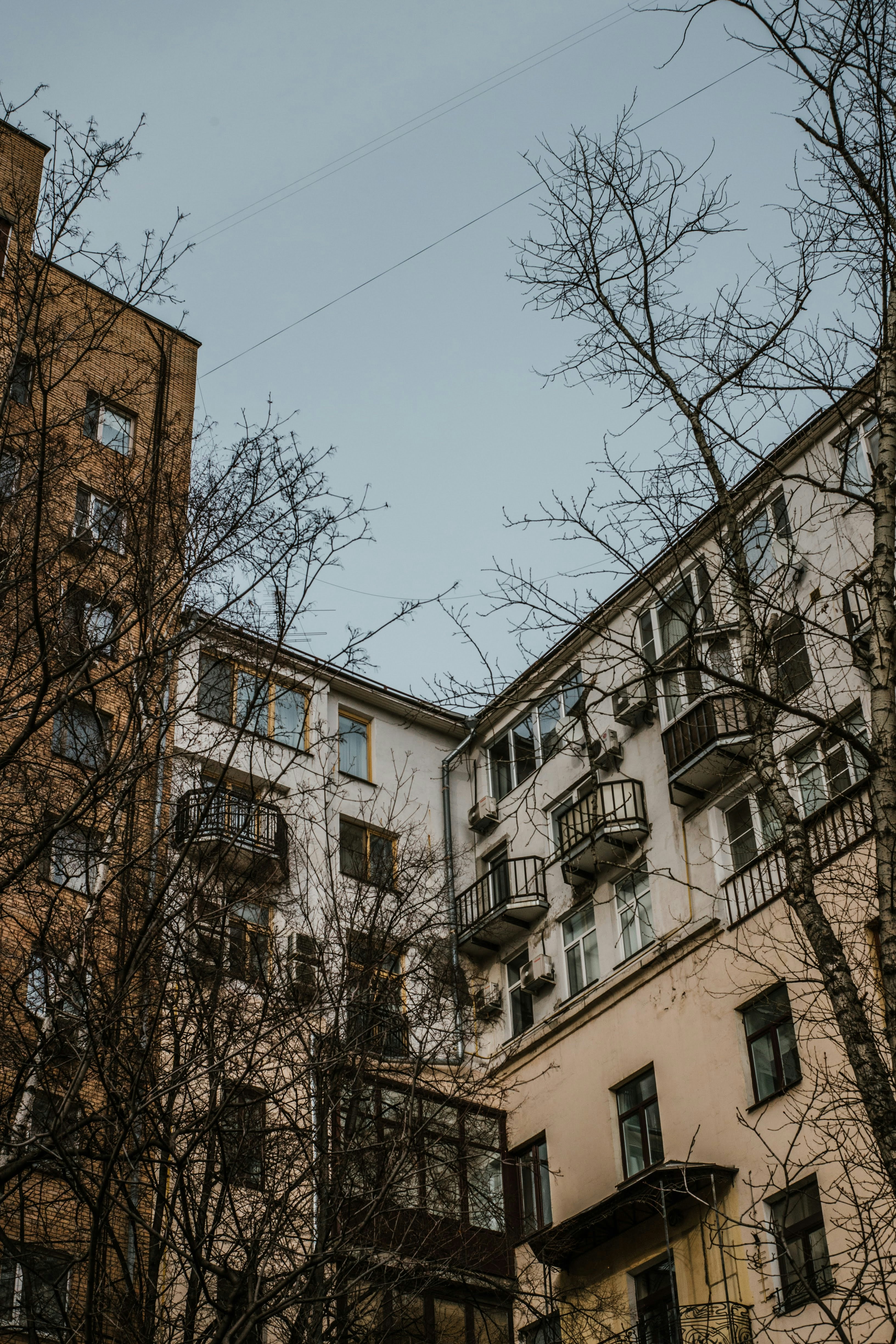 Tall residential buildings framed by bare trees, showcasing a blend of architecture against a muted sky.