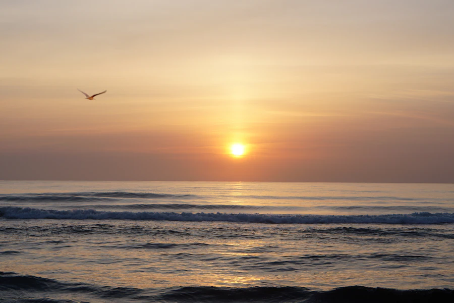 Golden sunrise over a gently rippling ocean, with a lone bird gliding across the left sky. Soft pastel clouds reflect warm light on the water.