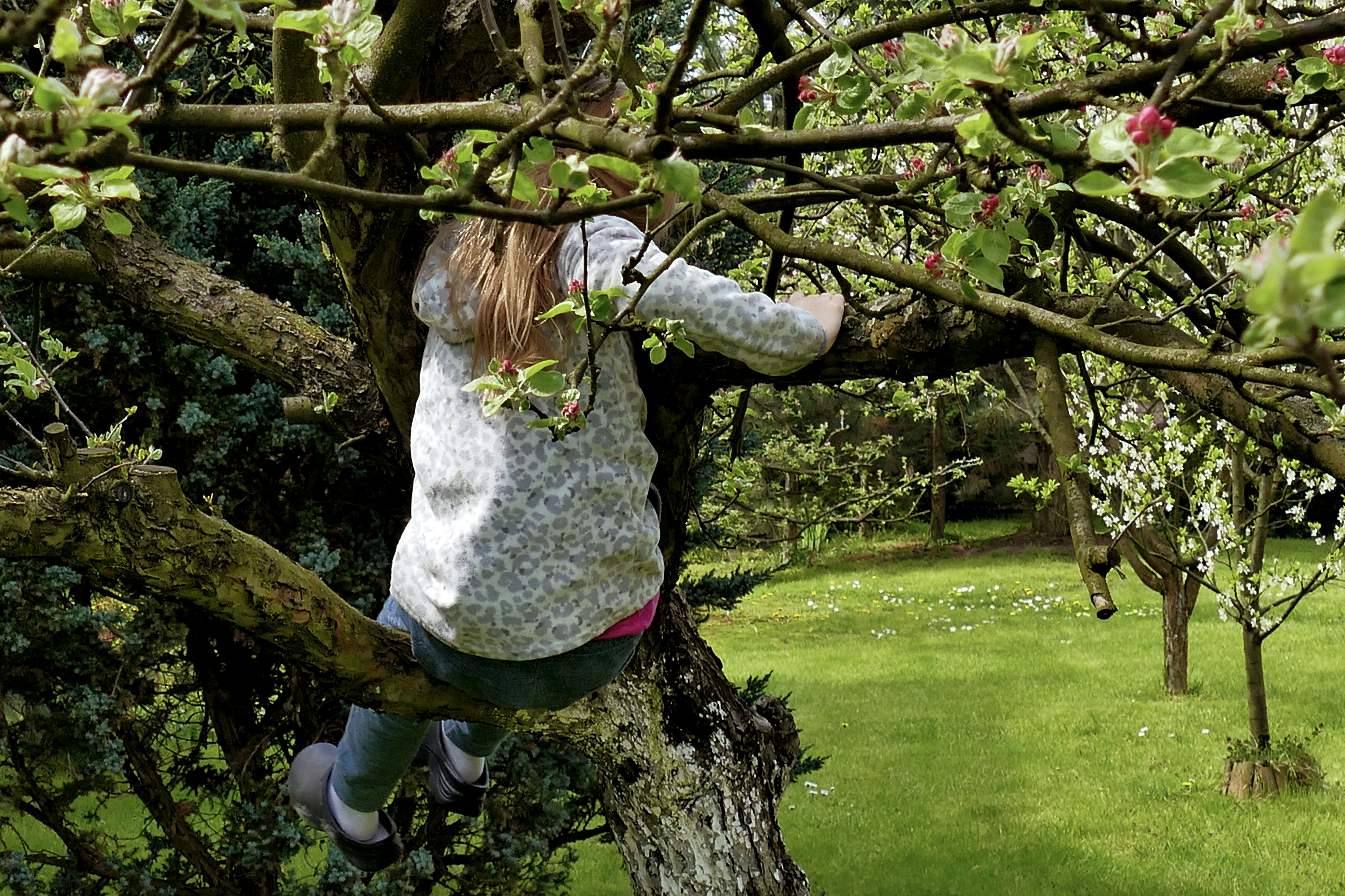 zibik (@zibik) | Unsplash Photo Community