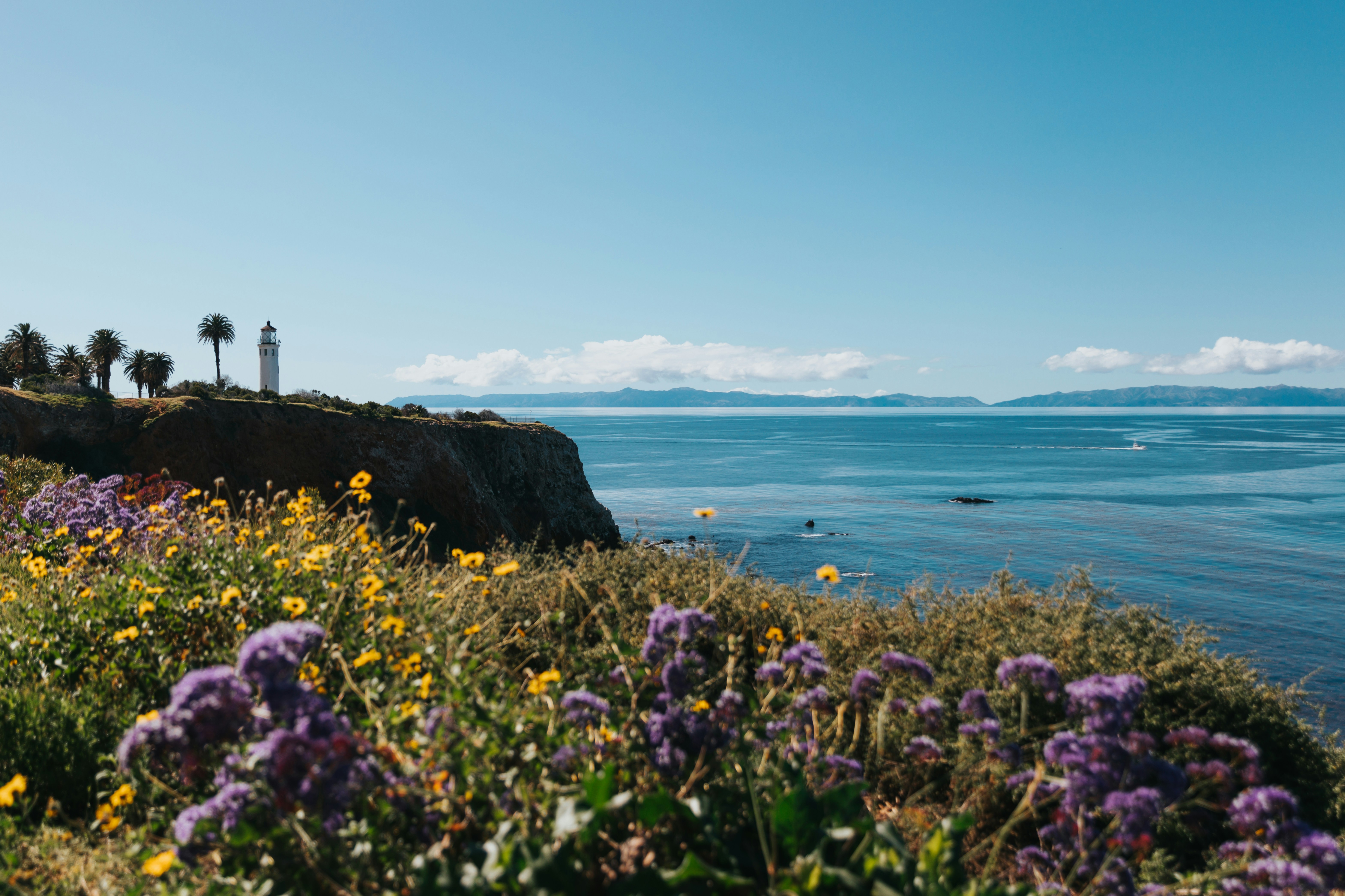 Lighthouse on a Blooming Clifftop Under a Pacific Sky