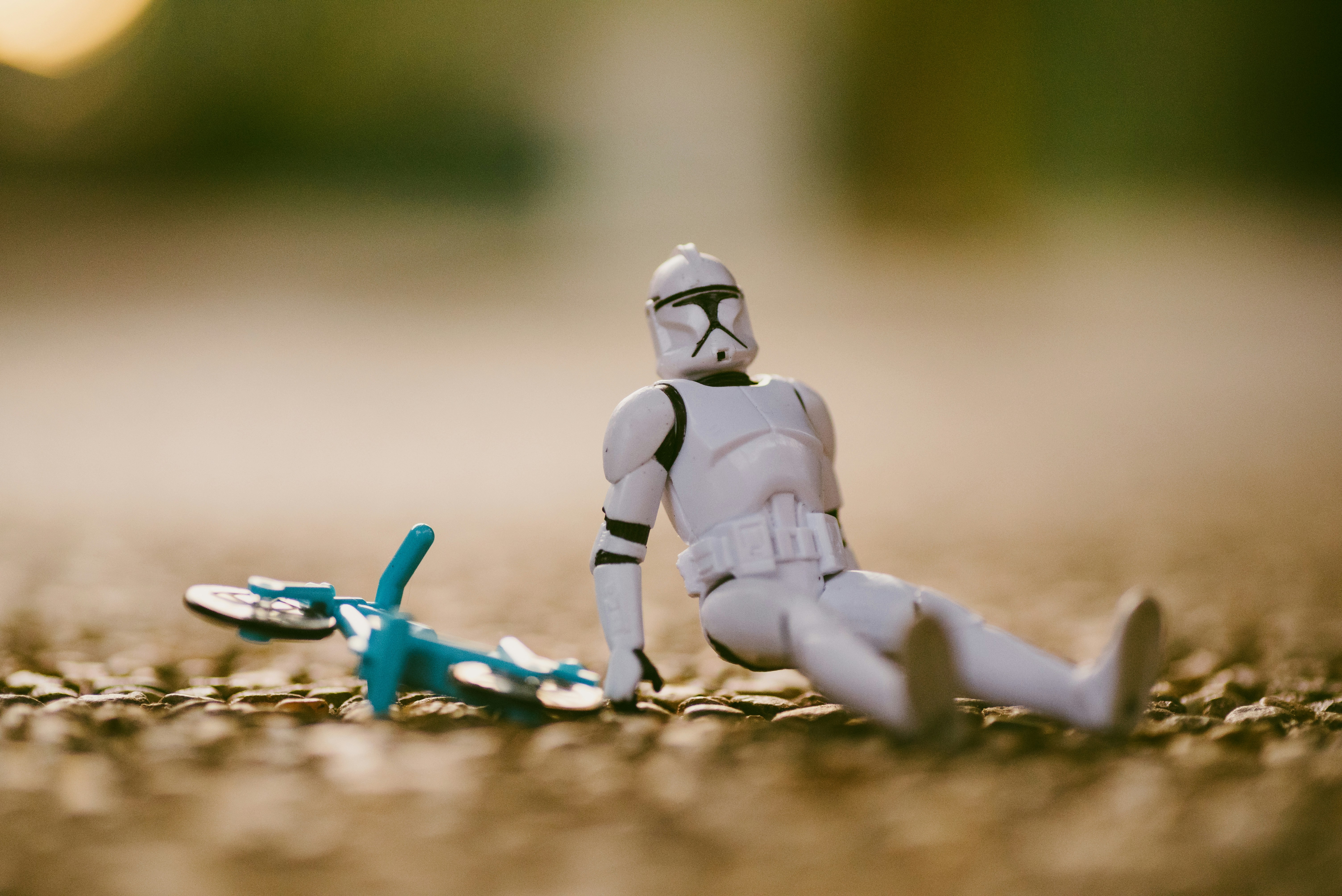 Lone Clone on the Pebble Field: A Calm Pause After Flight