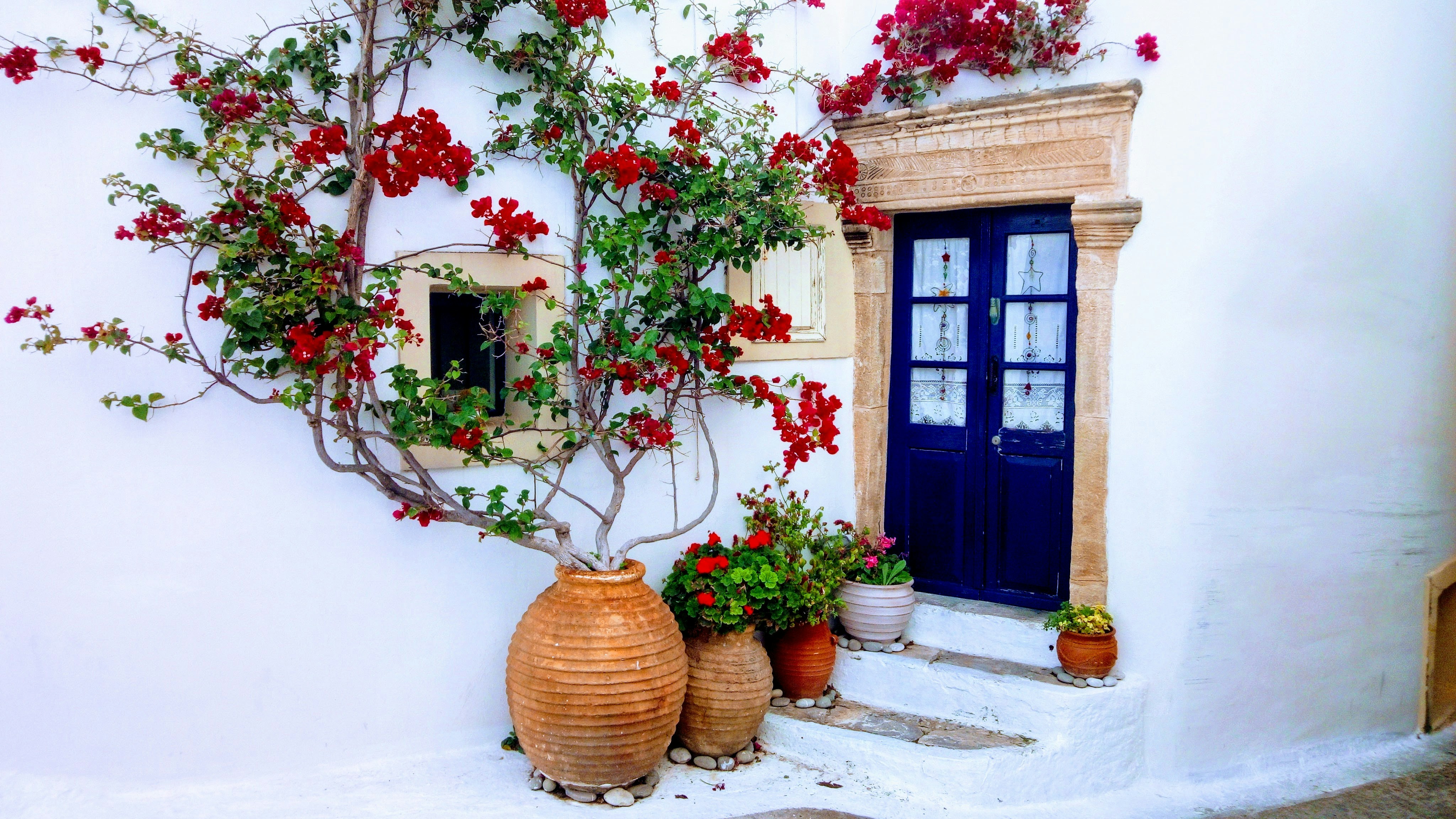 Chora, Bougainvillea