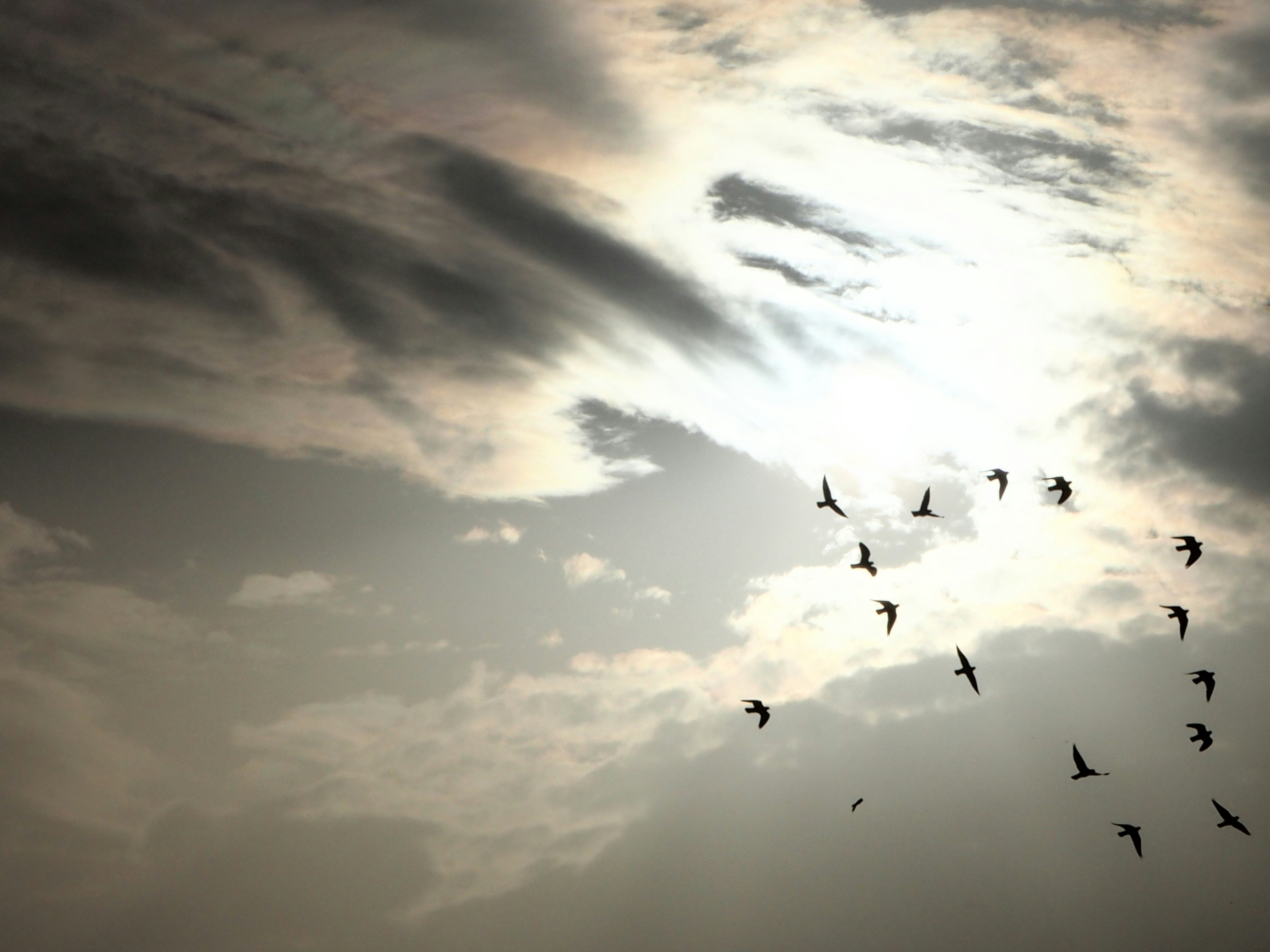 Faseeh Uddin (@faseehuddin01) | Communauté photos Unsplash