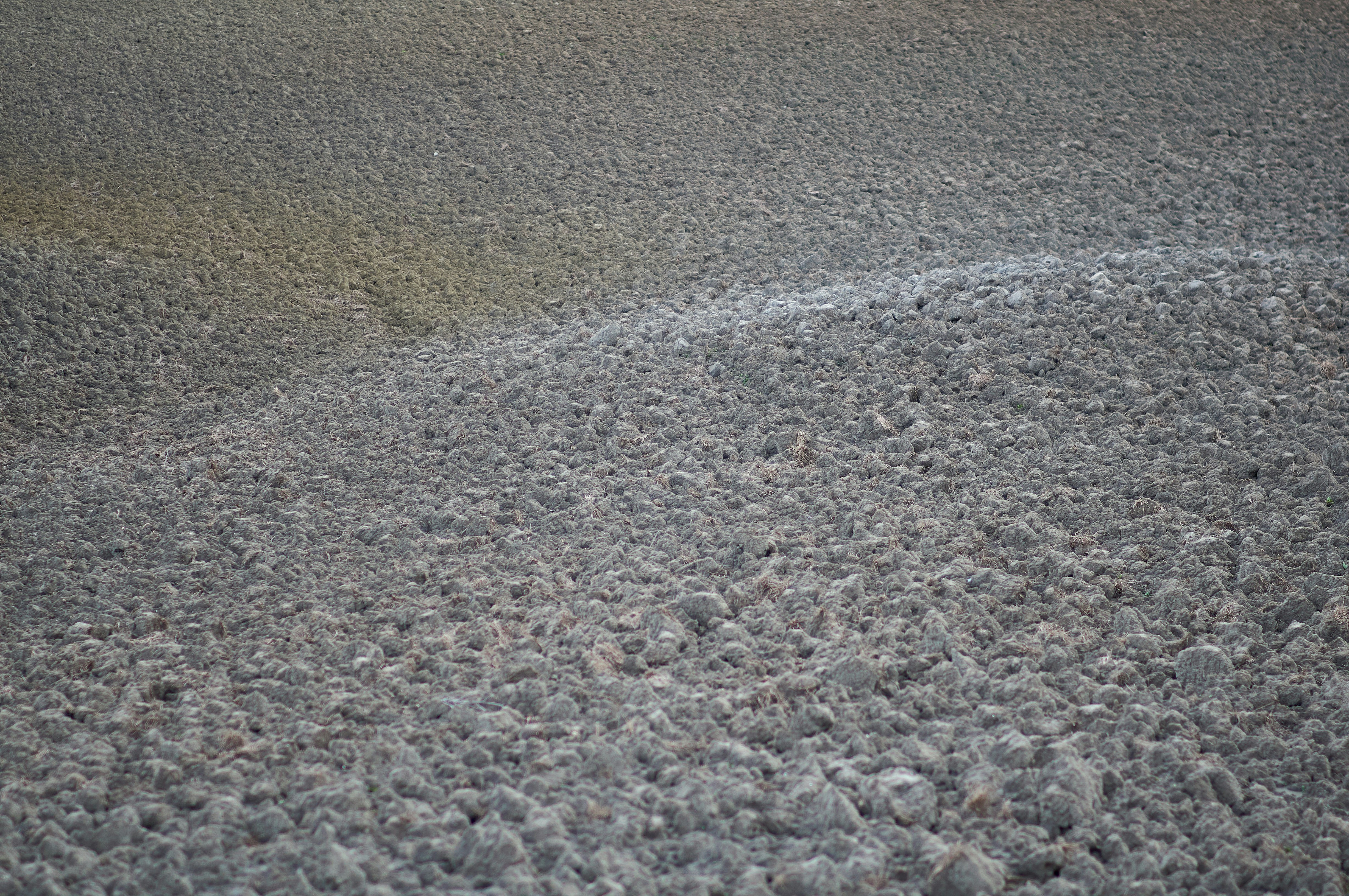 A detailed view of a rocky surface, showcasing the intricate textures and subtle color variations. The composition emphasizes the natural patterns formed by the stones.