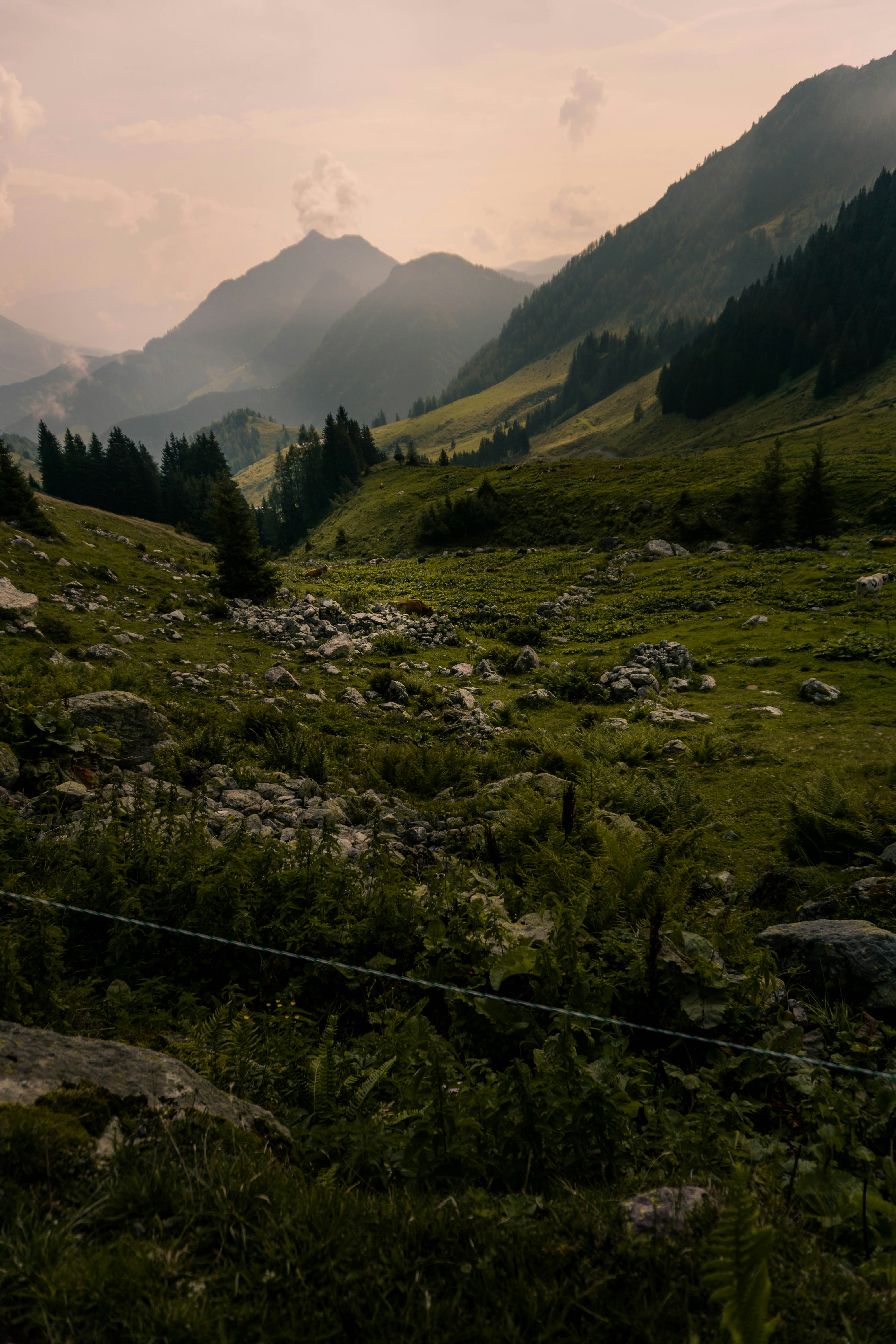 Lush green valley surrounded by majestic mountains under a softly lit sky at dusk.