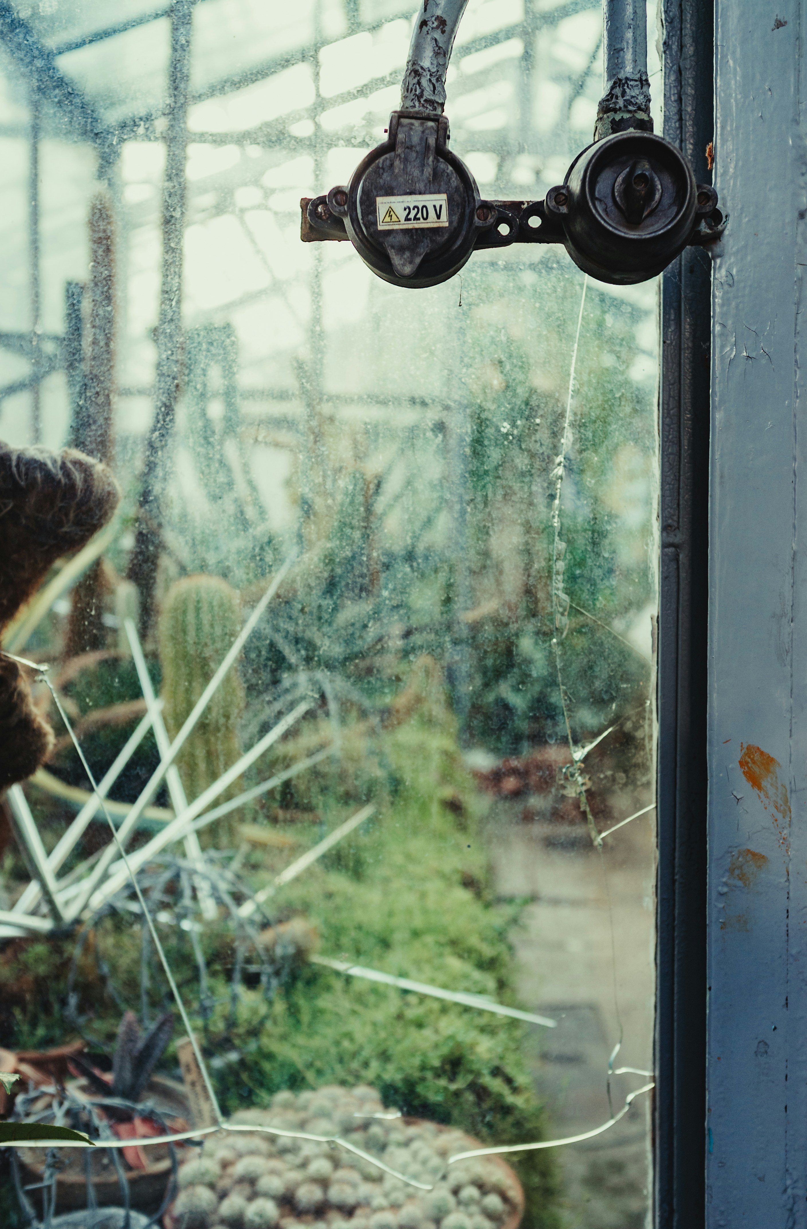 Weathered electrical outlet mounted on cracked glass in a greenhouse, with lush greenery and scattered plant life visible beyond.