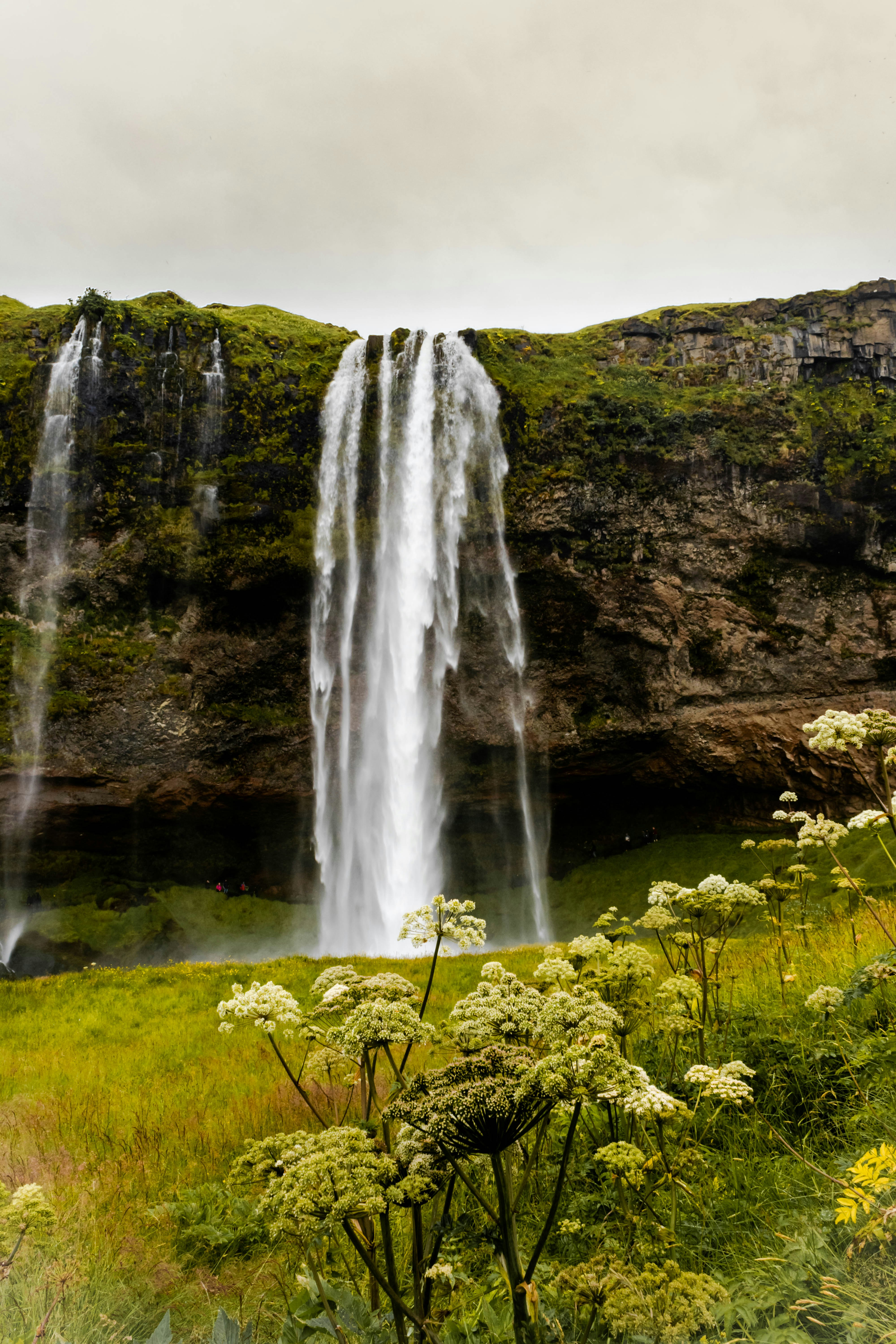 Cascades sur un champ d’herbe verte pendant la journée photo – Image ...