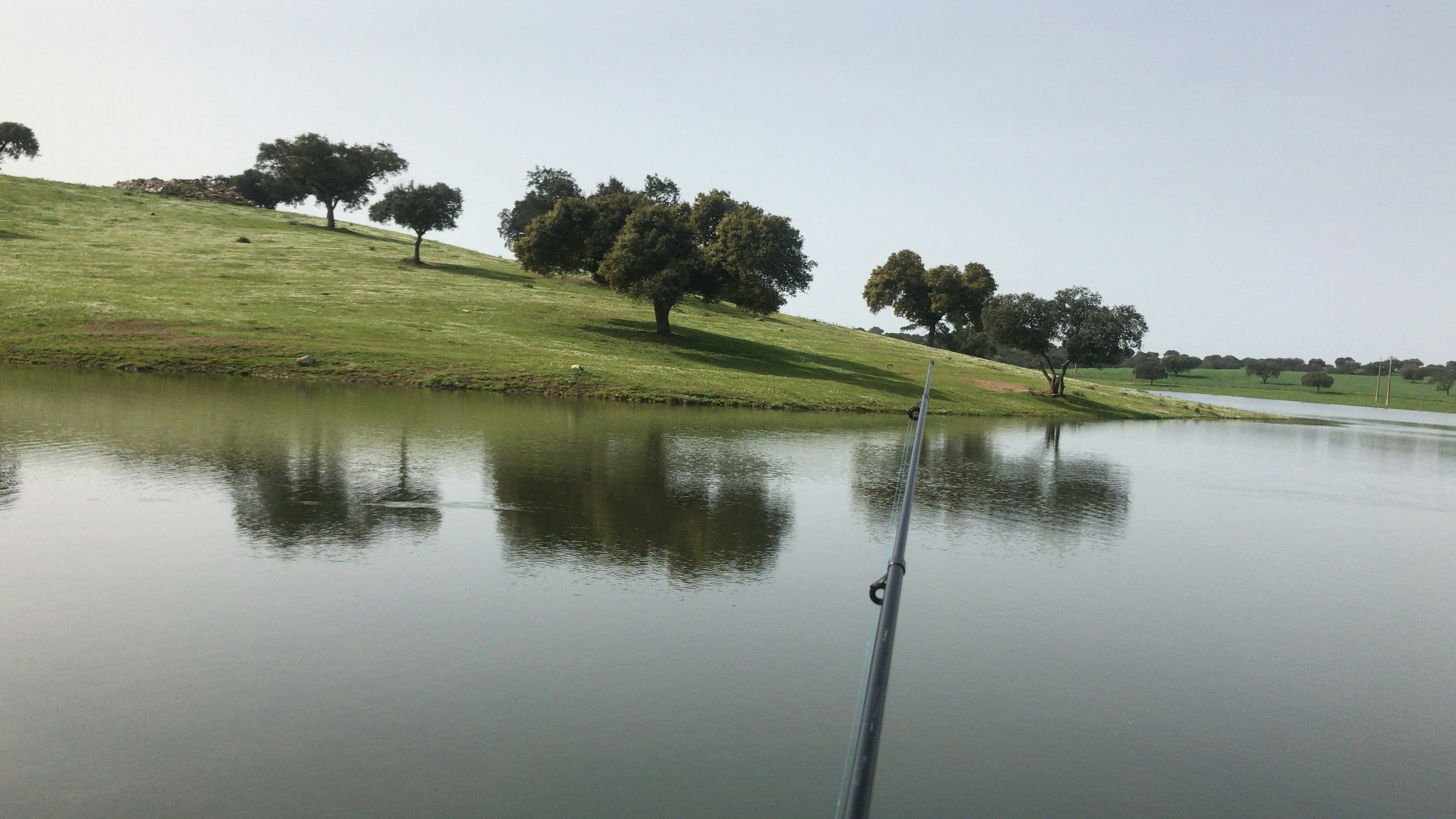Arc Over the Mirror Lake: A Lone Rod Anchors the Tranquil Shore