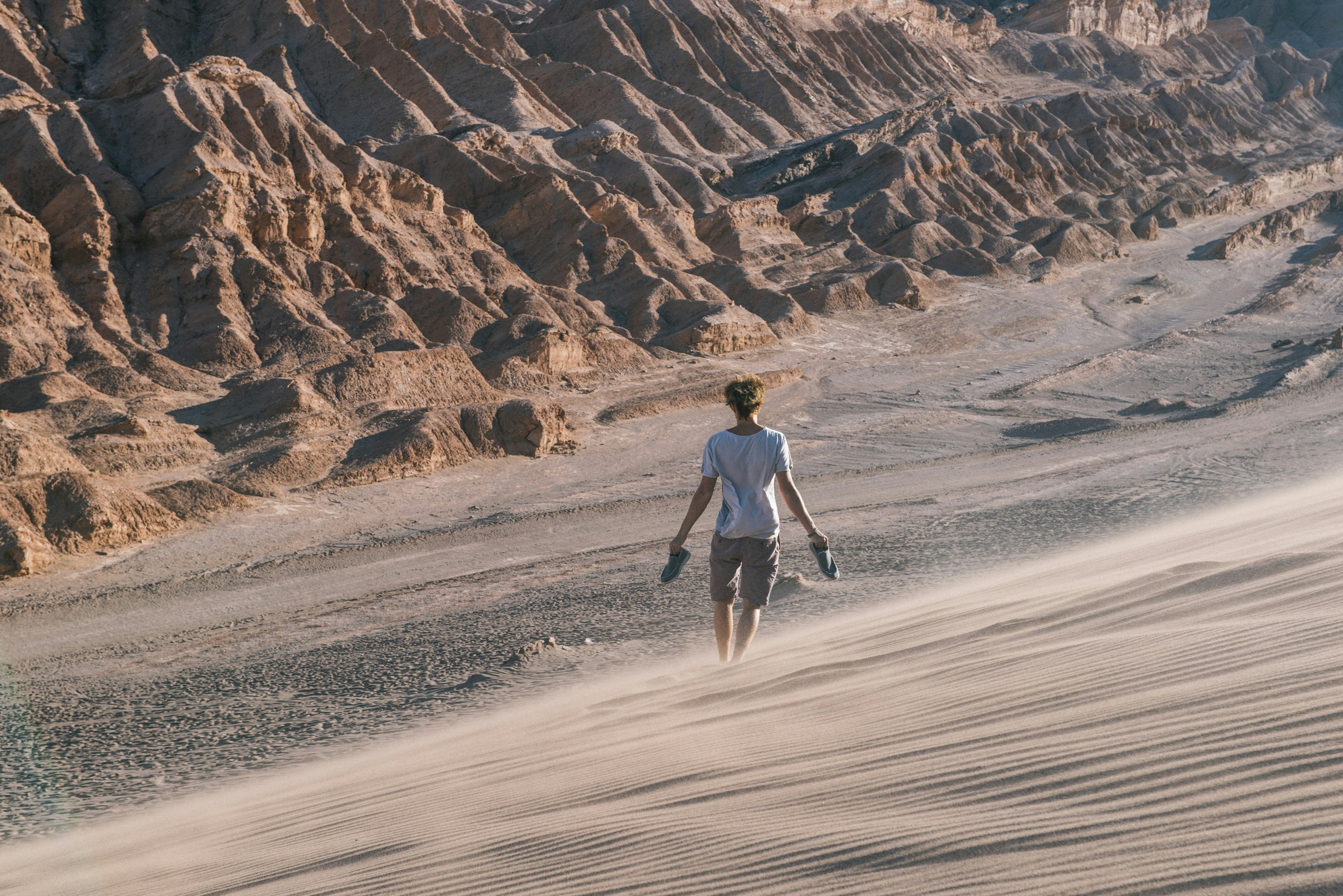 A lone figure traversing a sandy landscape, surrounded by rugged terrain and swirling dust. The scene captures the essence of solitude in nature.