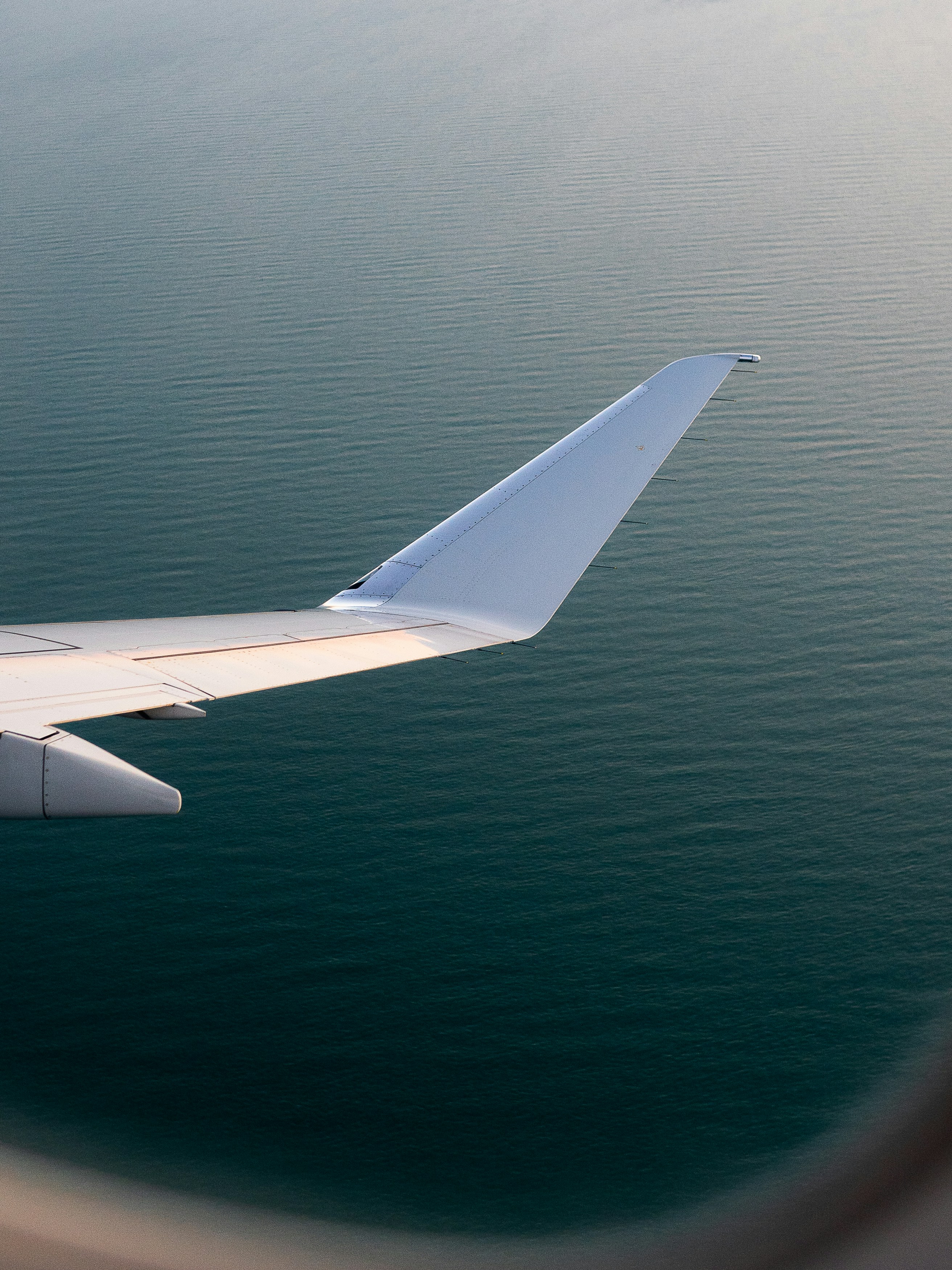White airplane wing over blue sea during daytime photo – Free Animal ...