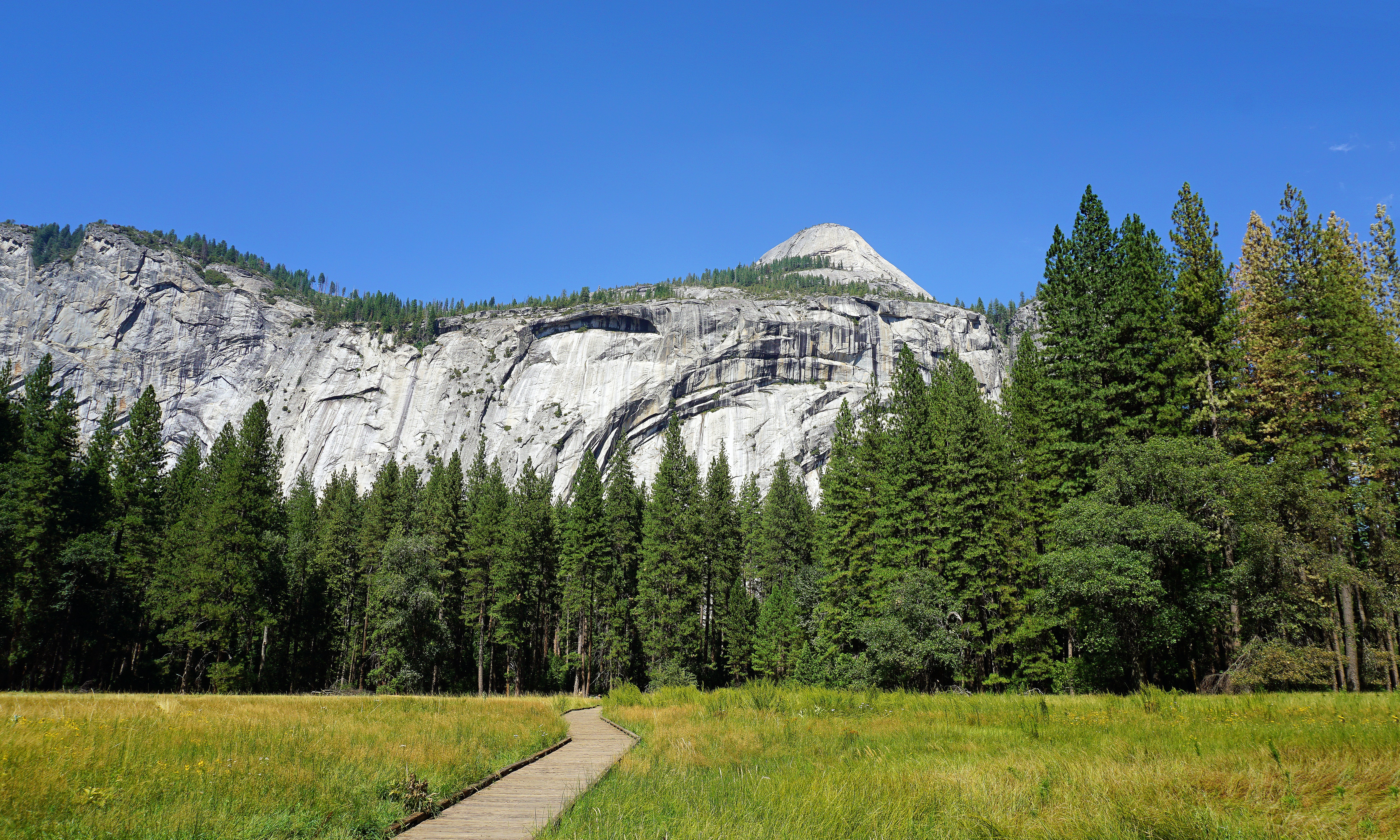  granite dome in a sunlit valley beneath a pine-lined cliff