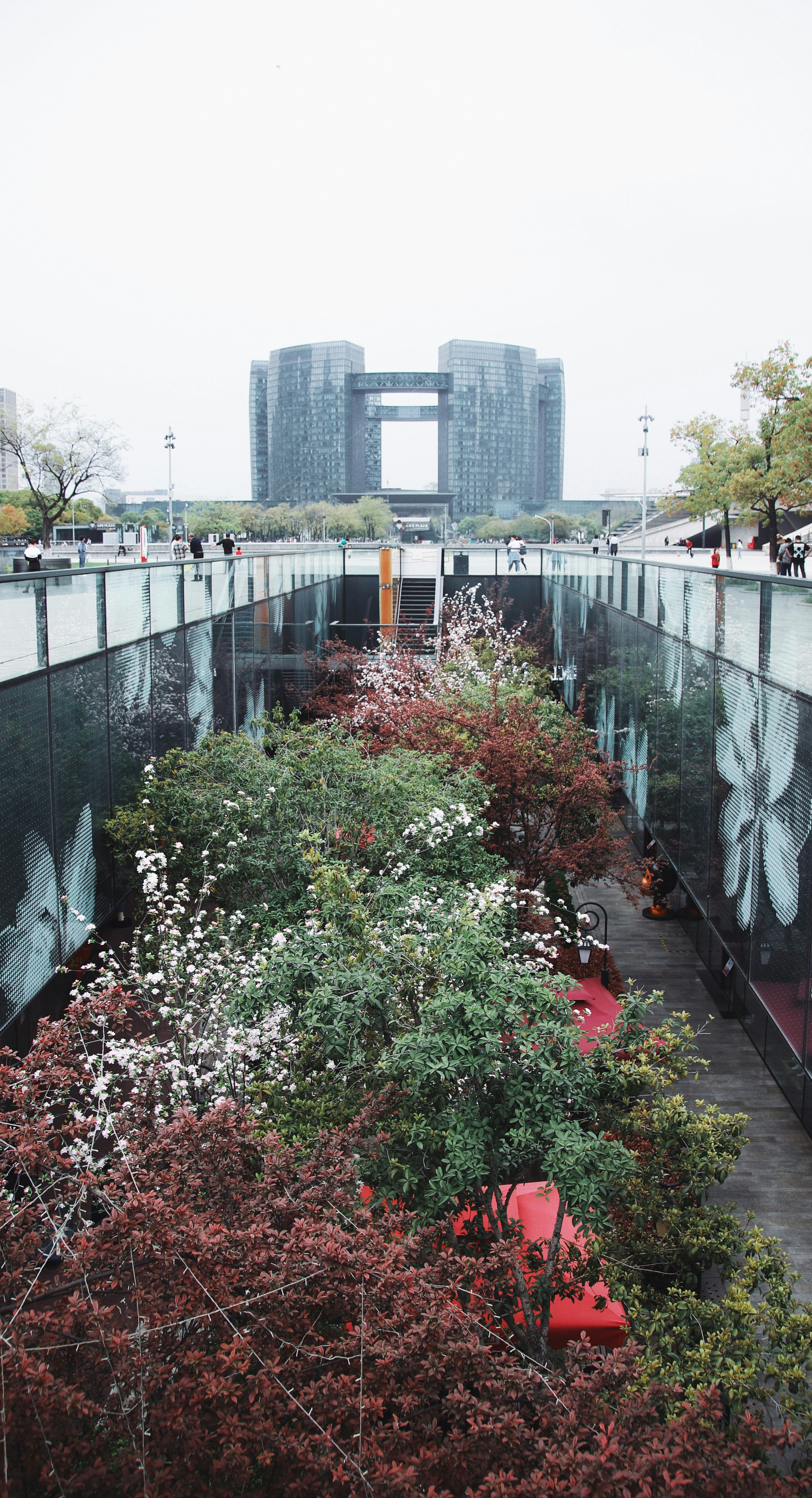 Vibrant greenery and blooming flowers contrast with sleek urban architecture in a harmonious blend of nature and design.