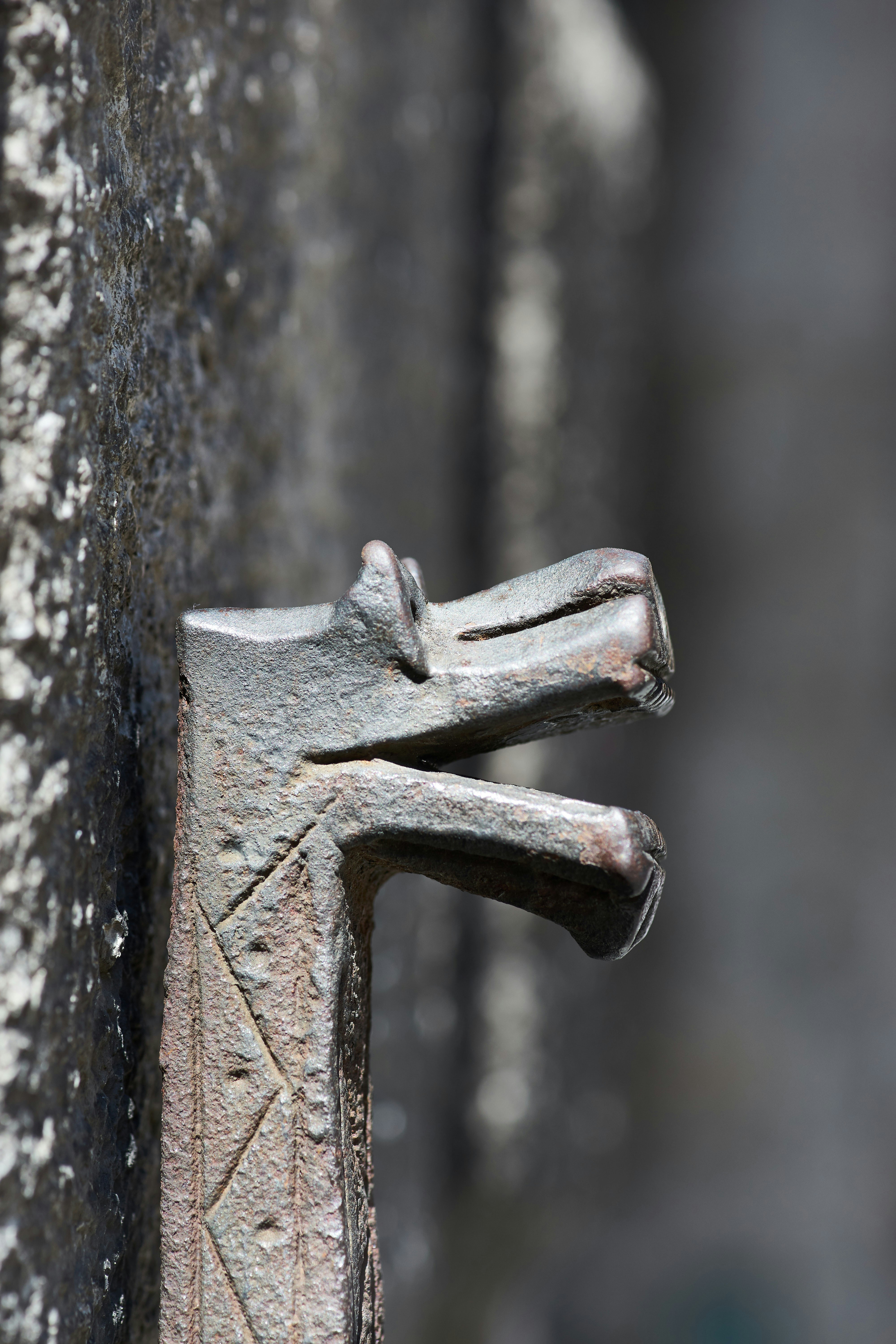Rusting Tap Drowsing in Concrete Shadow