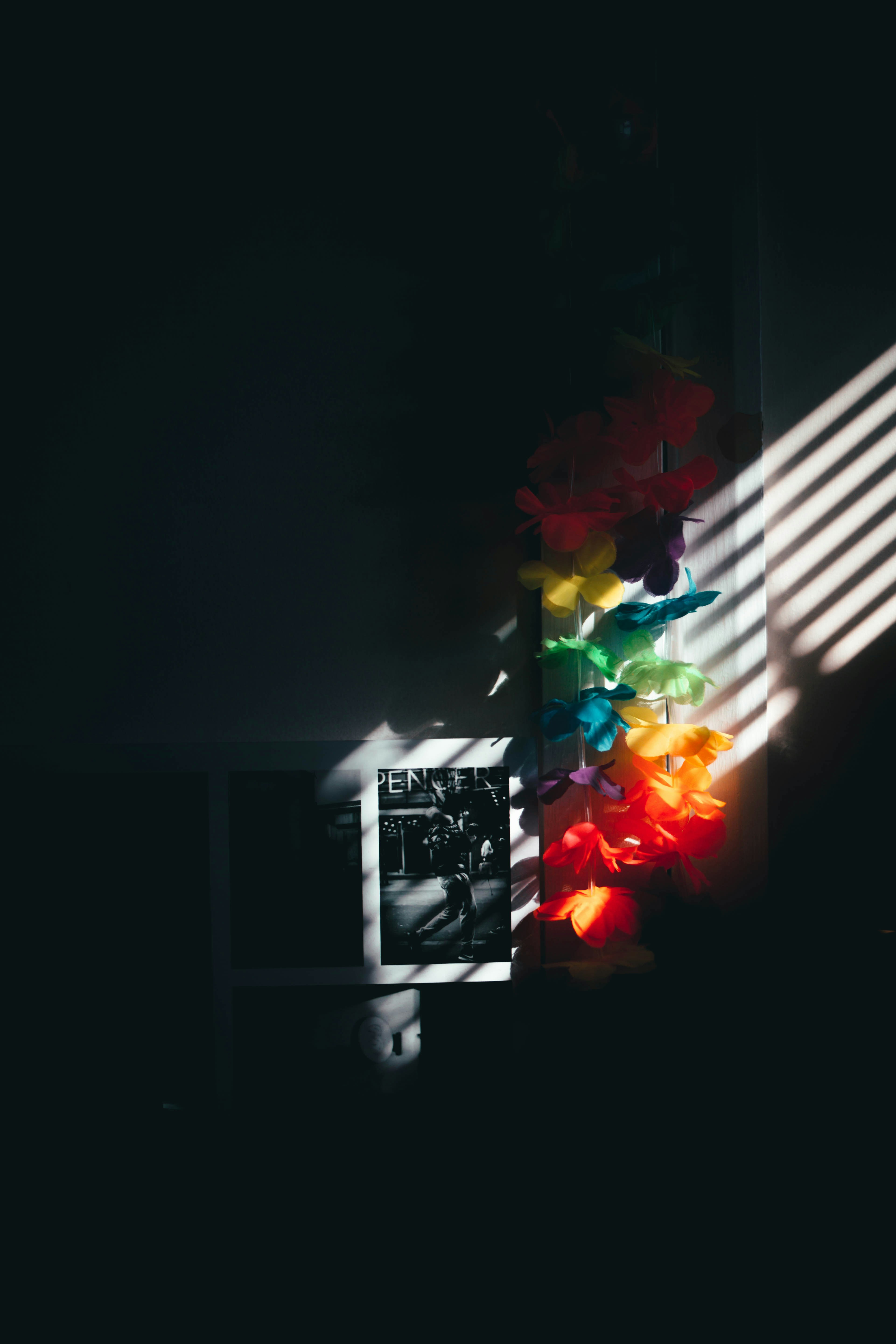 Red green and yellow string lights photo – Free Leicester Image on Unsplash