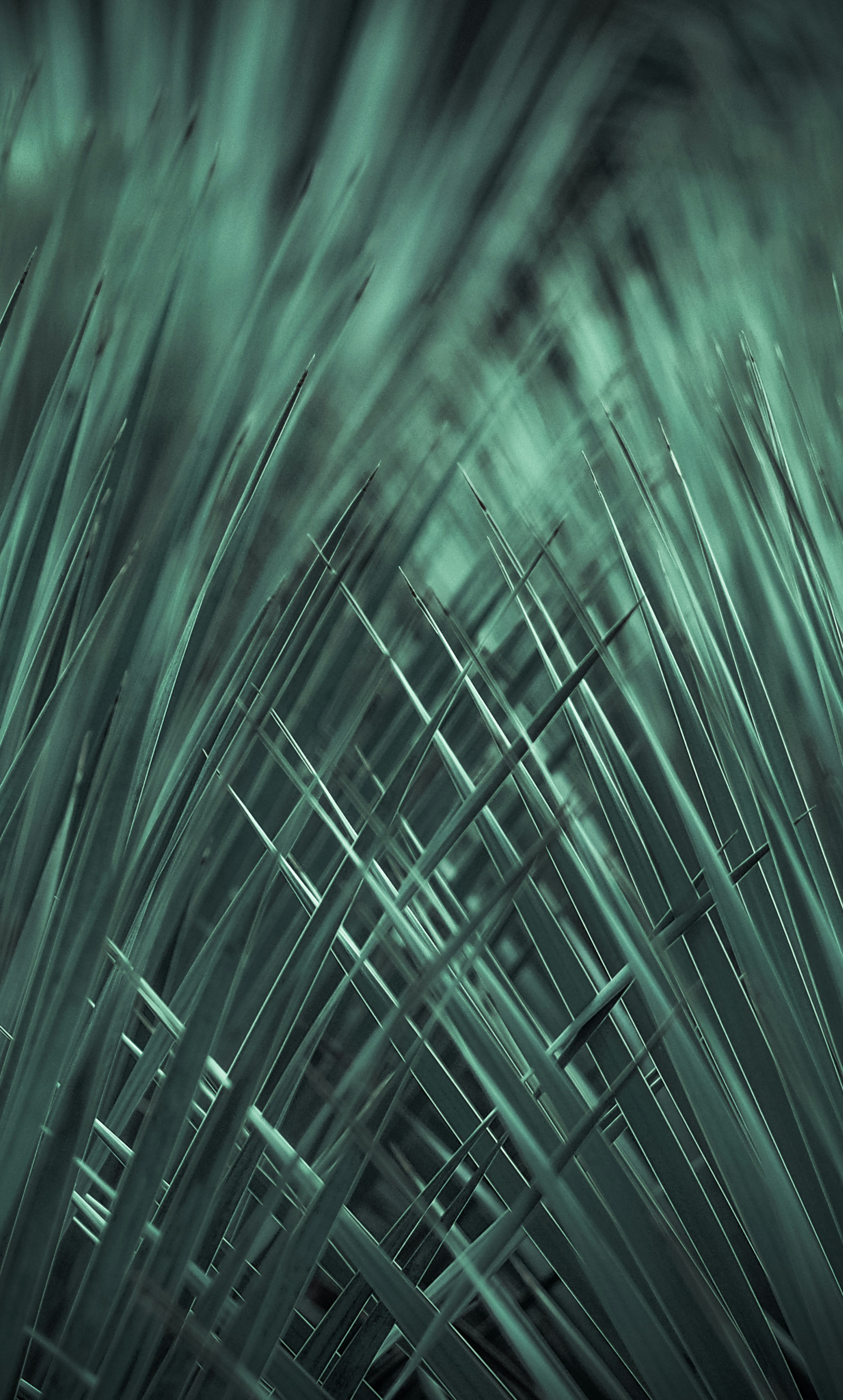 Close-up of vibrant green grass blades interwoven in a dynamic pattern, showcasing their delicate textures and hues.