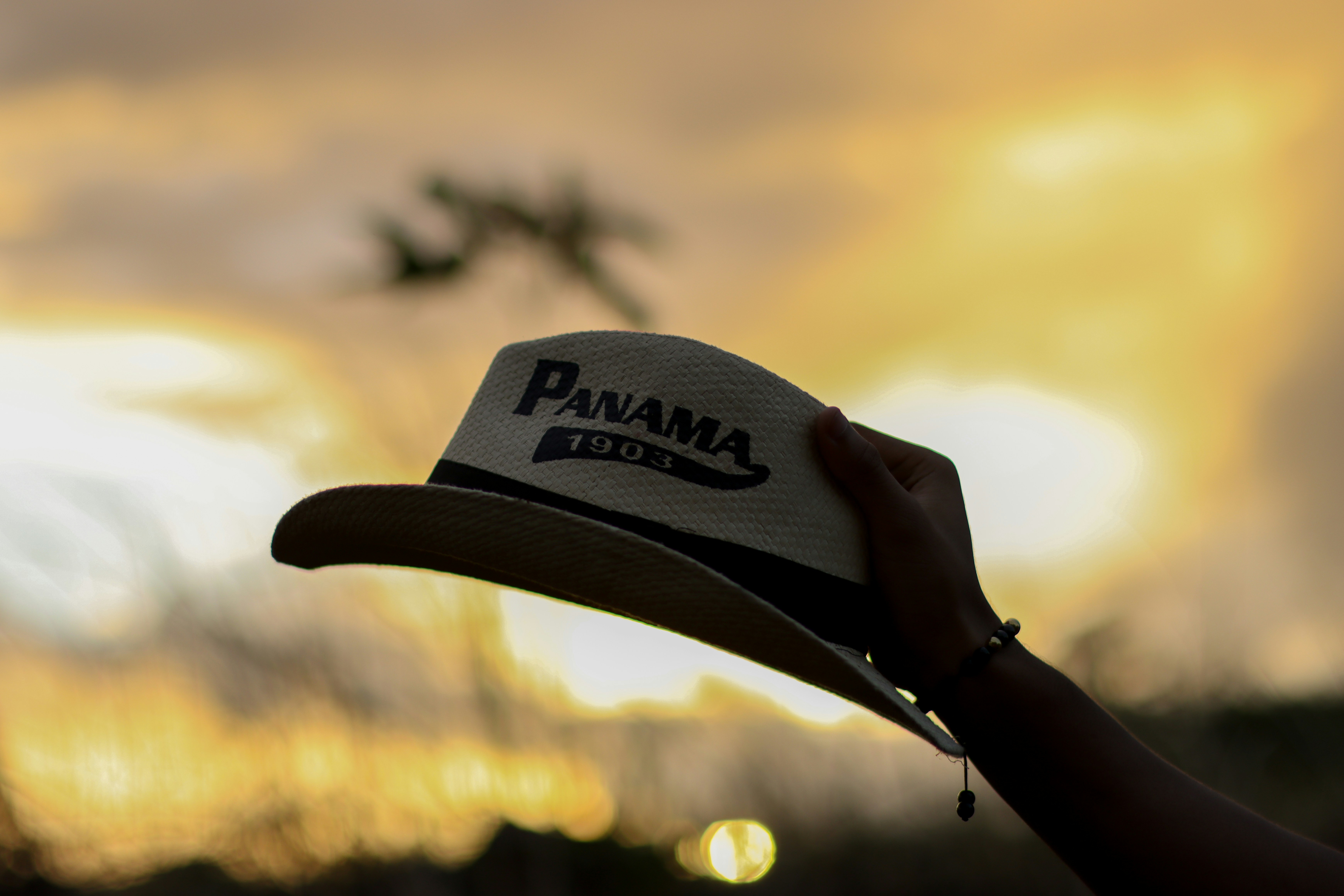 Sunset Raiser: A Panama Hat Reaches Toward the Last Light