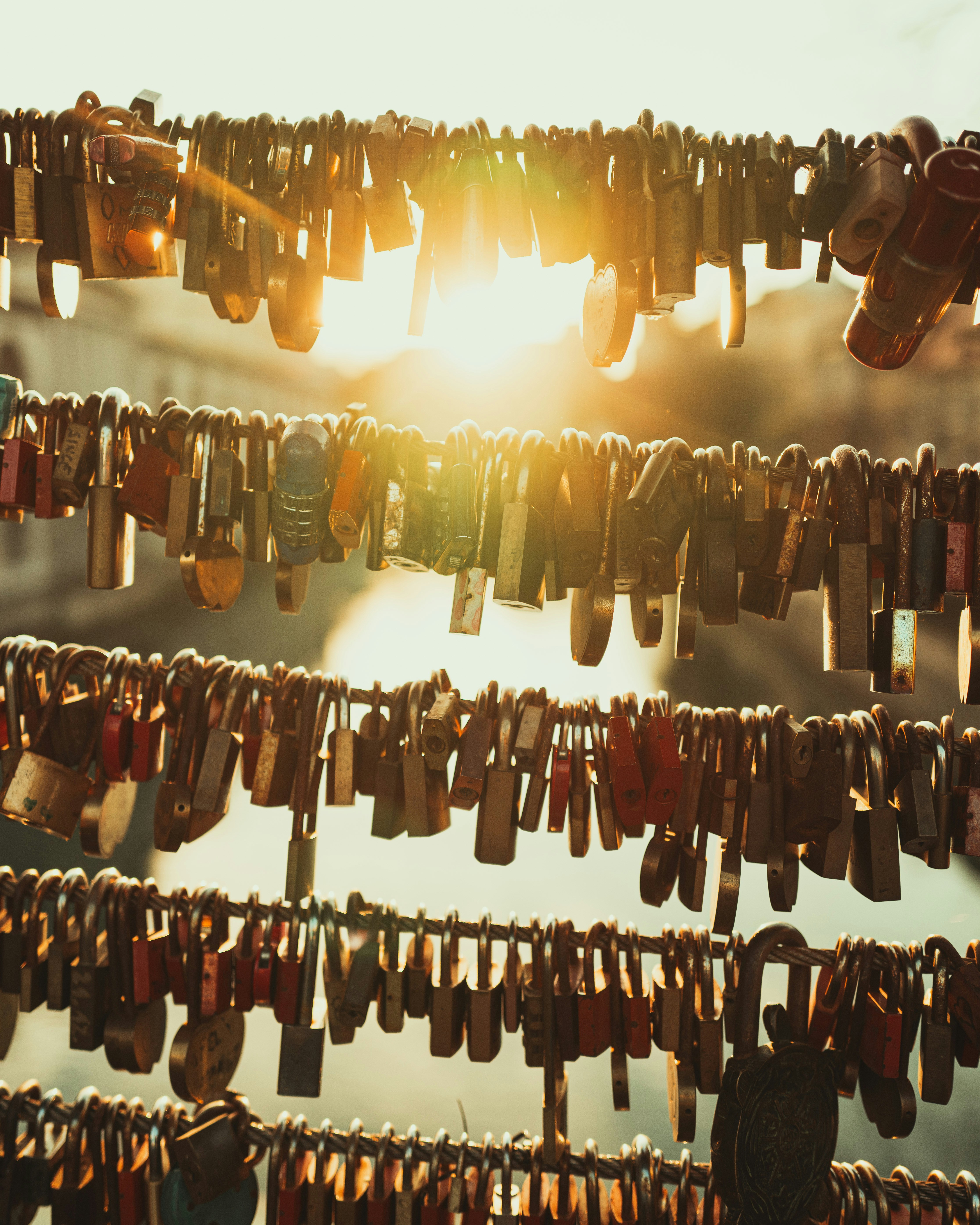 Locks of Light: Dawn Over a Sea of Padlocks