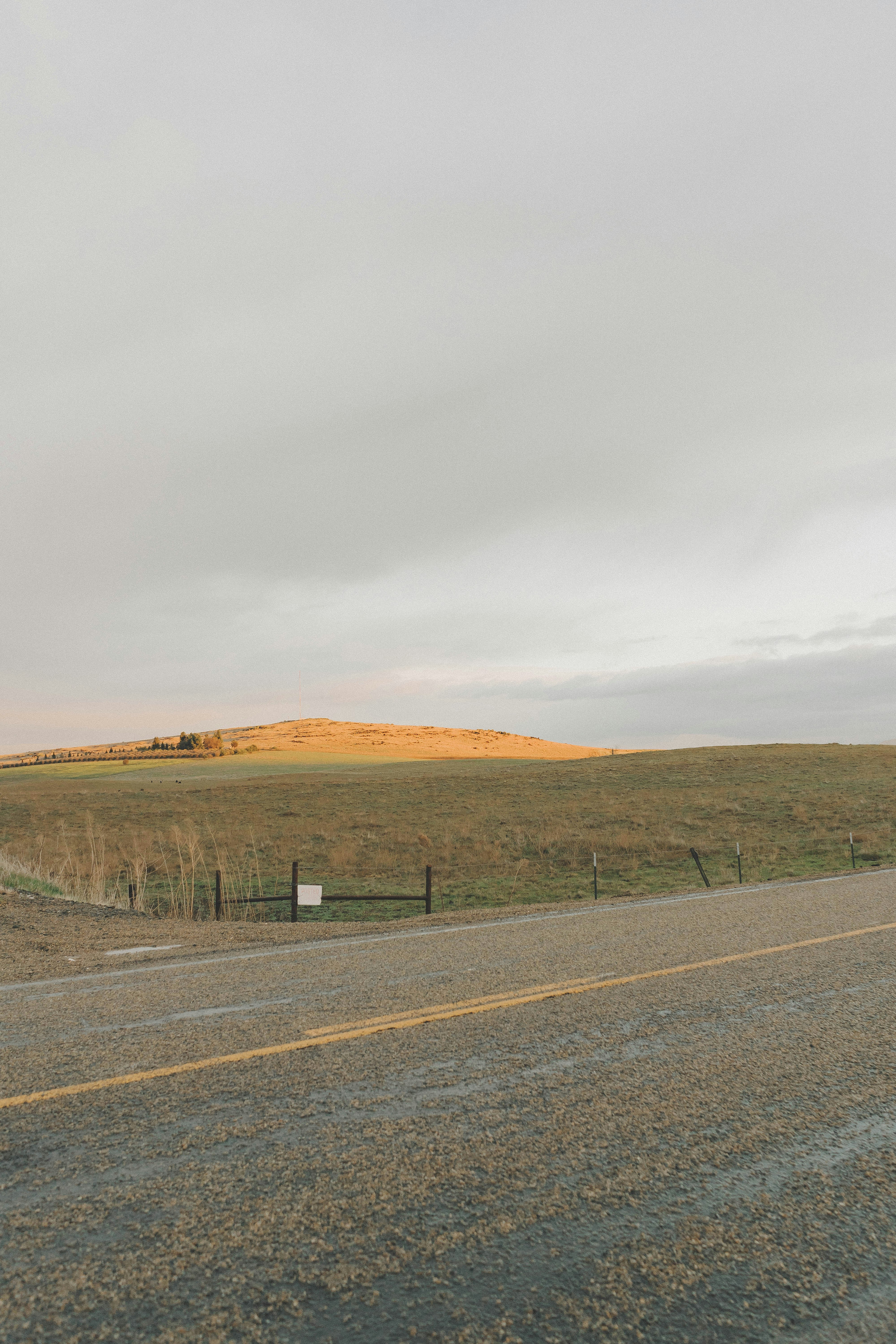 edwin aviles (@edwinnaviles) | Unsplash Photo Community