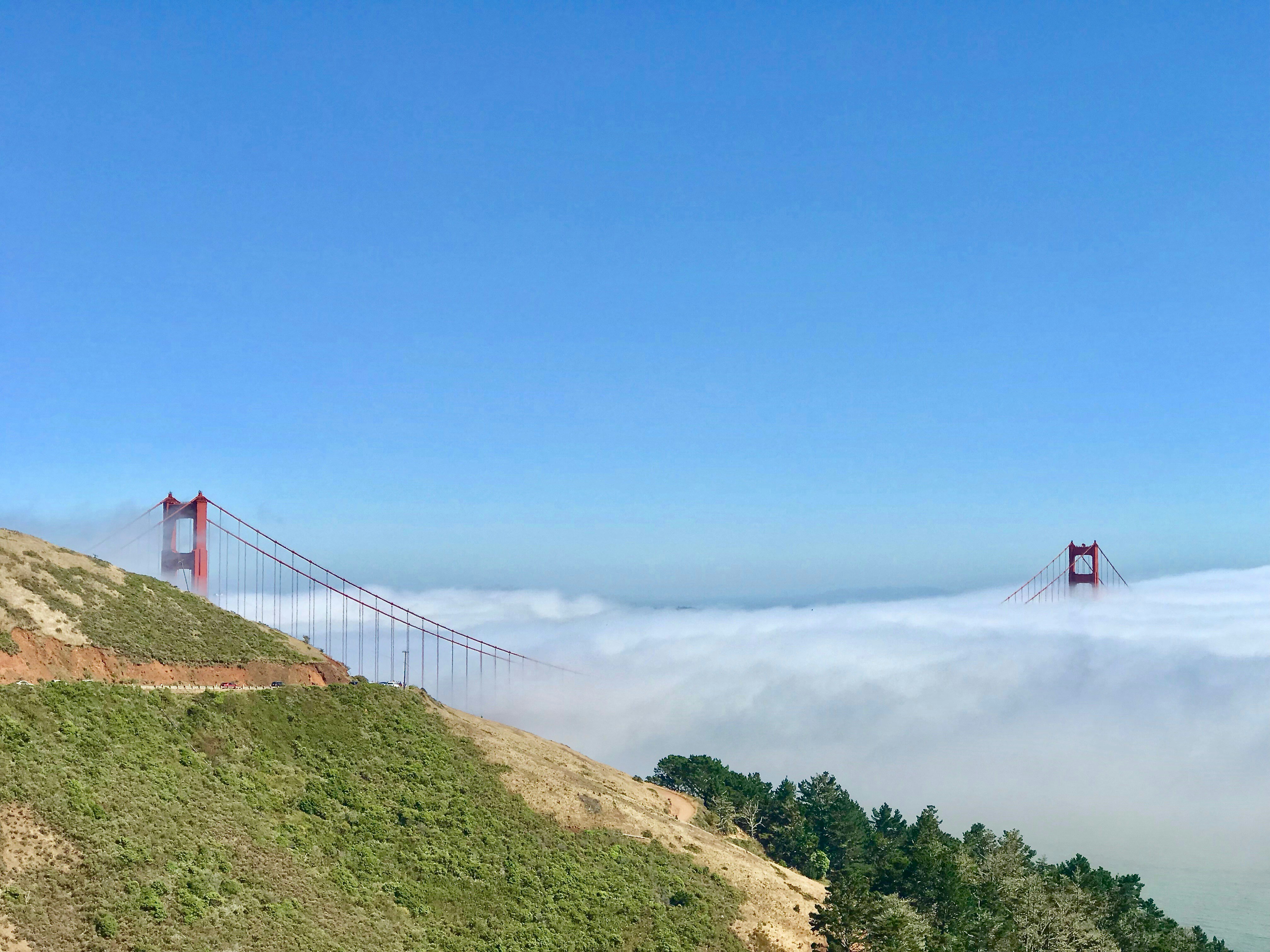 Golden Gate Peaks Above the Mist