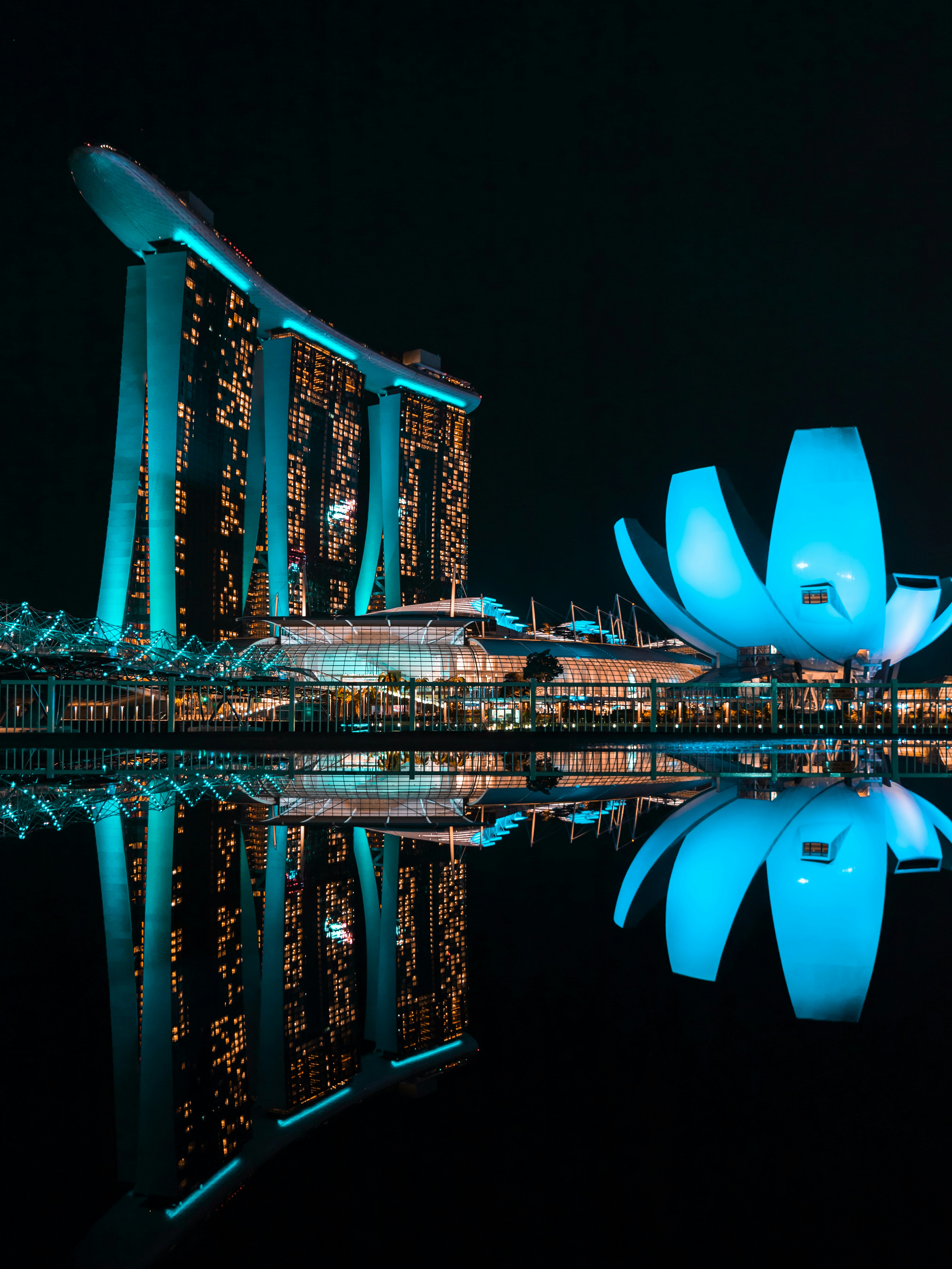 Twin Horizons: Neon Marina in Nighttime Flow