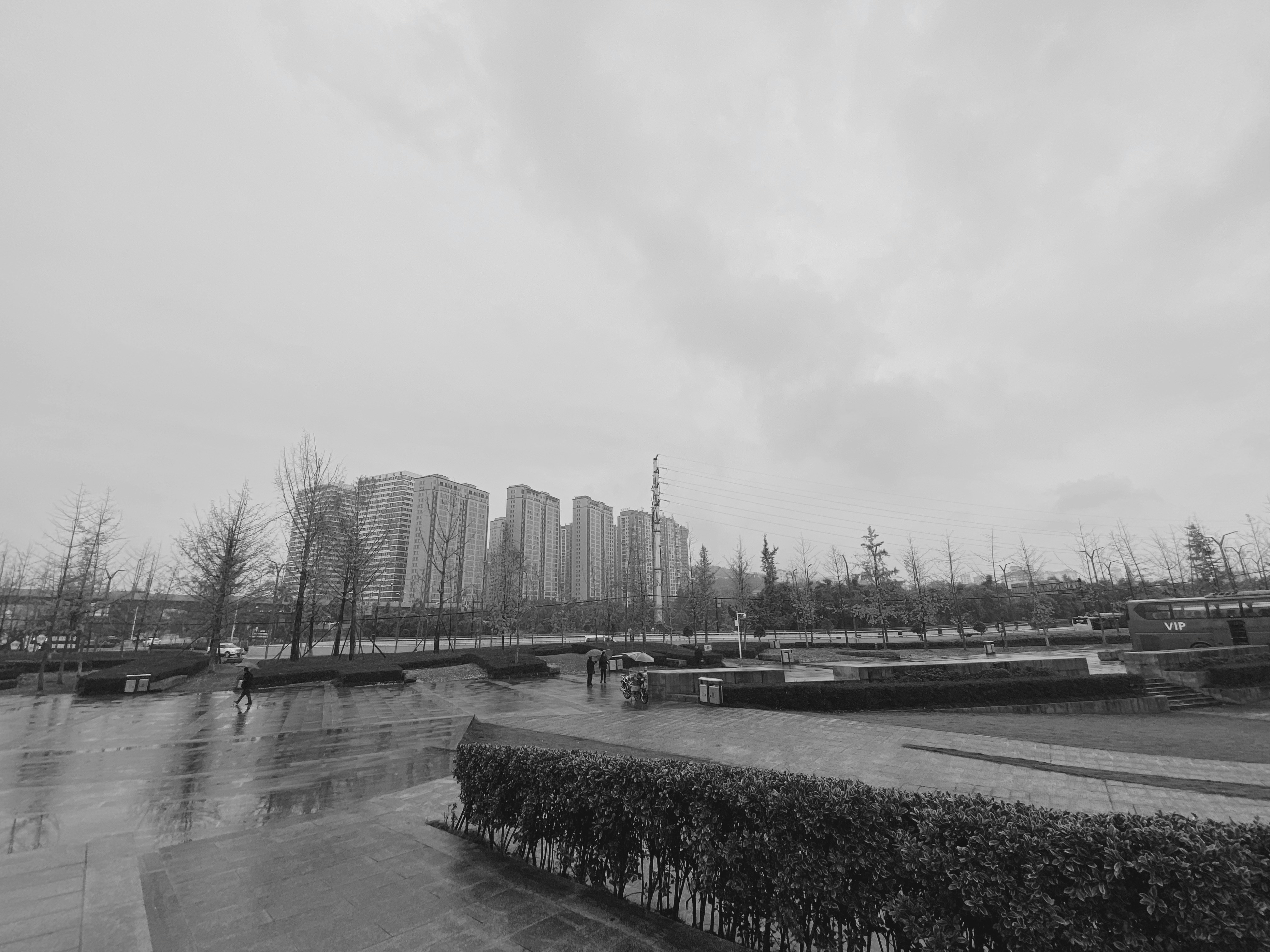 Tall, modern buildings rise above a wet urban park, with scattered pedestrians navigating the reflective surfaces. The scene is captured in black and white, enhancing the mood of a cloudy day.