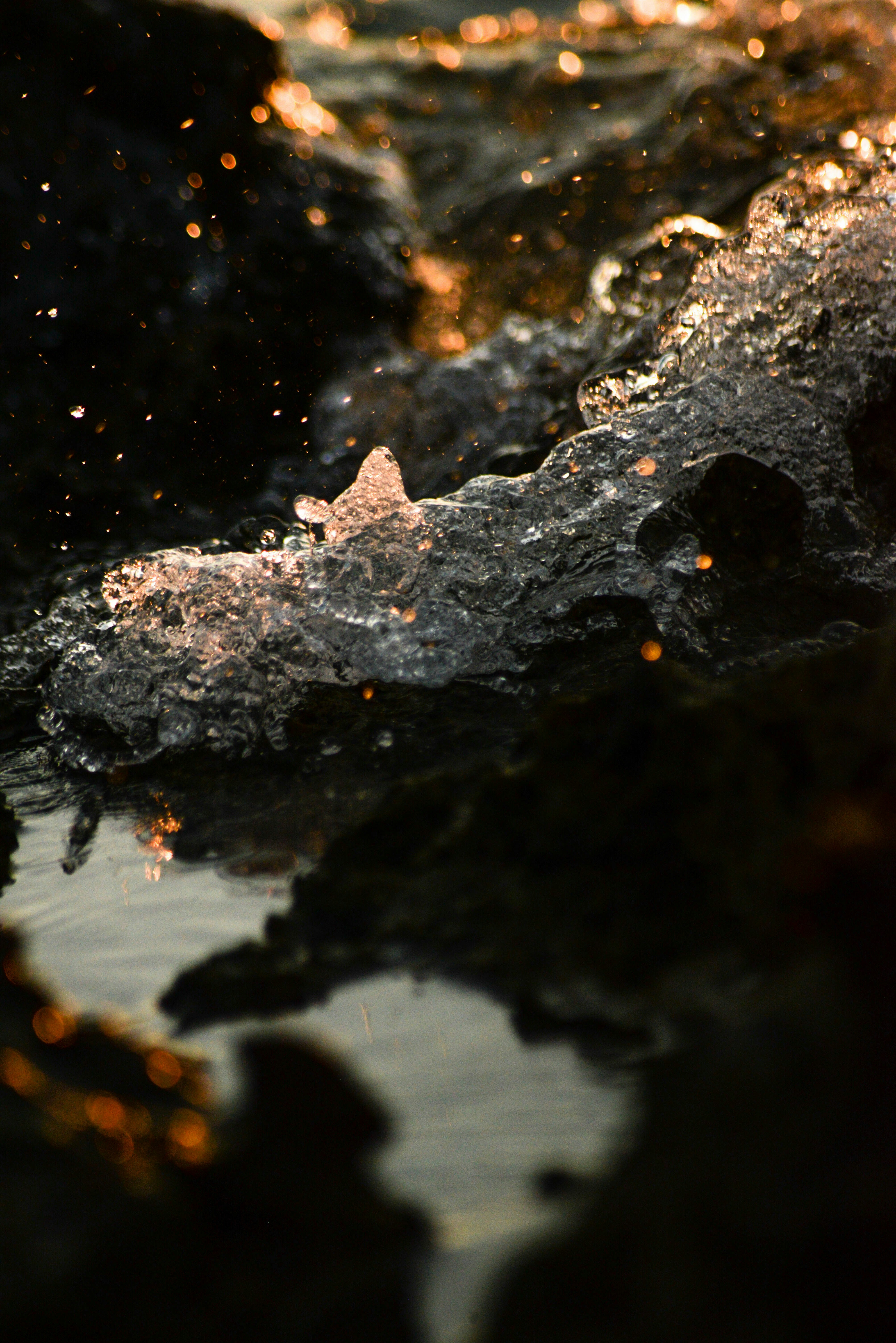 Whispers of the Tide