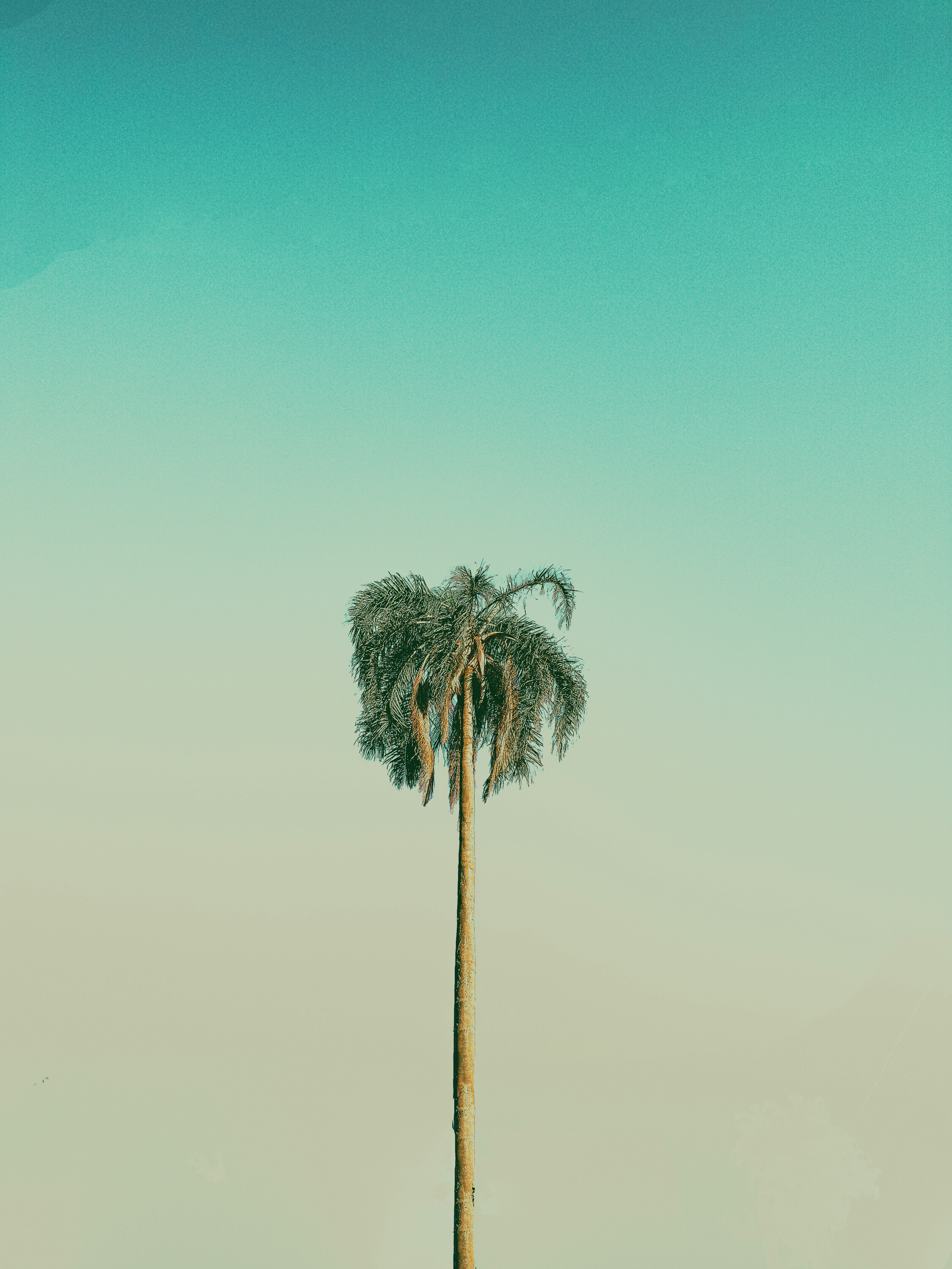 Sample photo from Motorola Moto G7 Plus