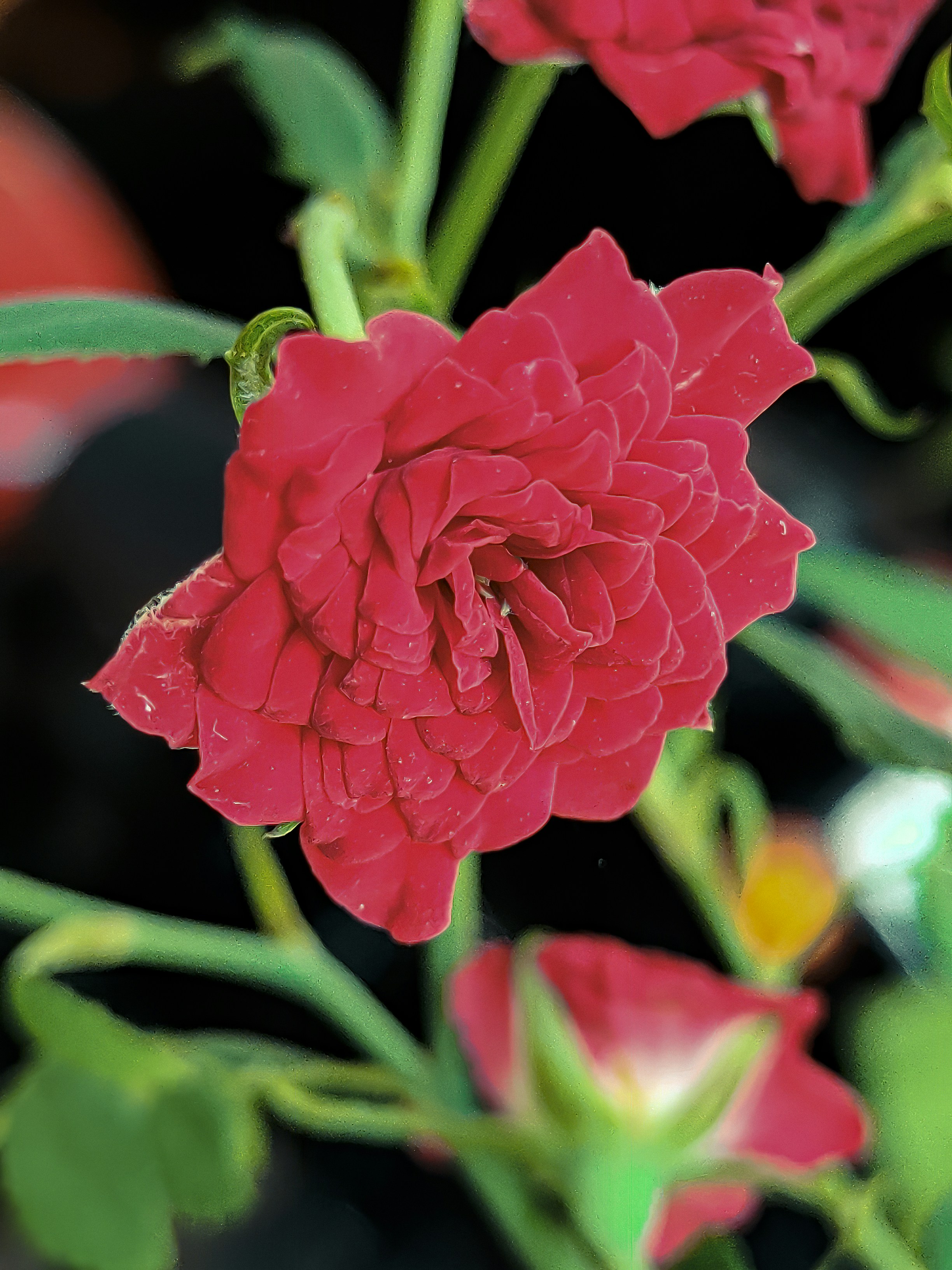 Ben (@gudguyben) | Comunidad de fotos de Unsplash