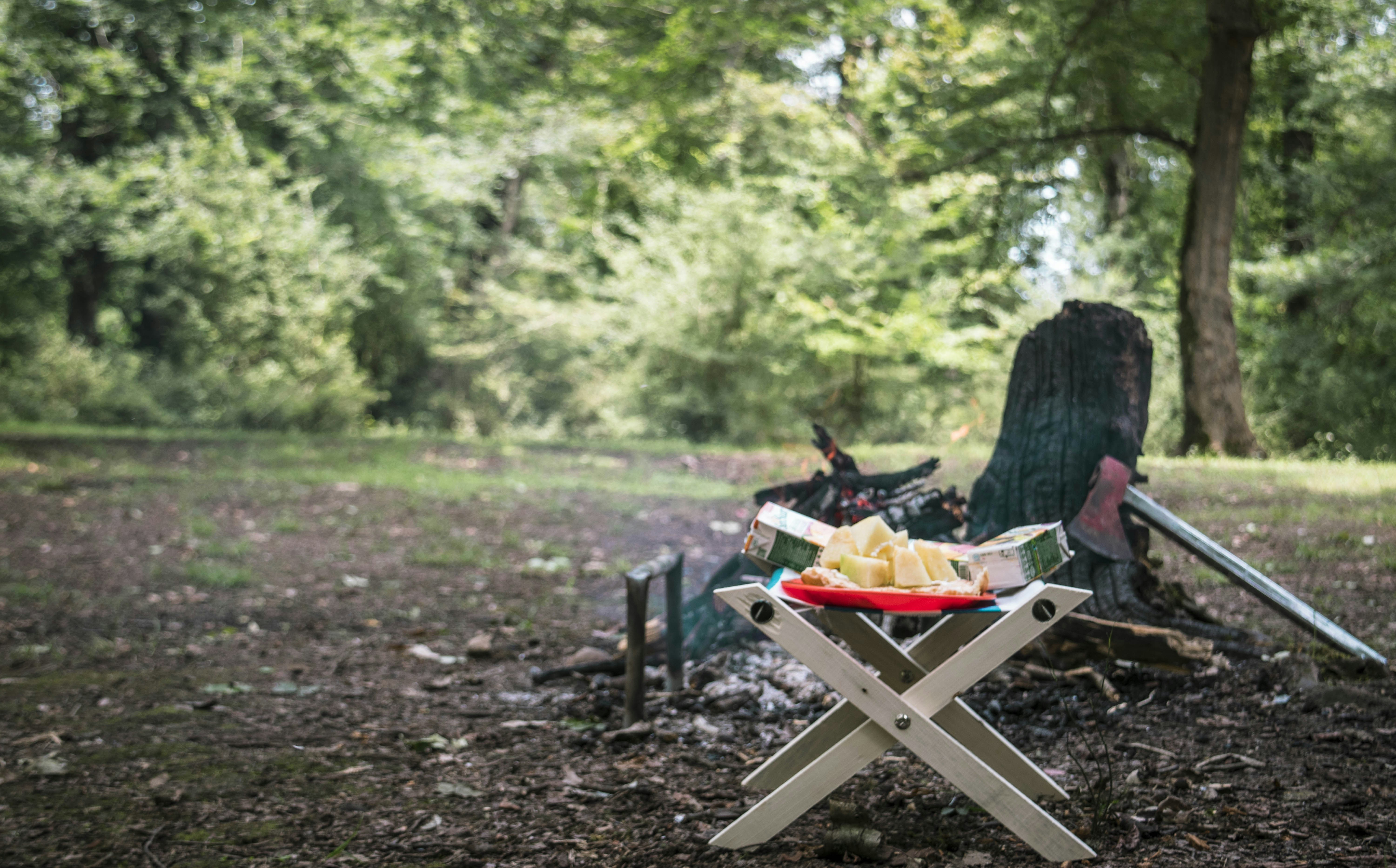 Picnic Pause: Chips on a Folding Table Amid a Shaded Clearing