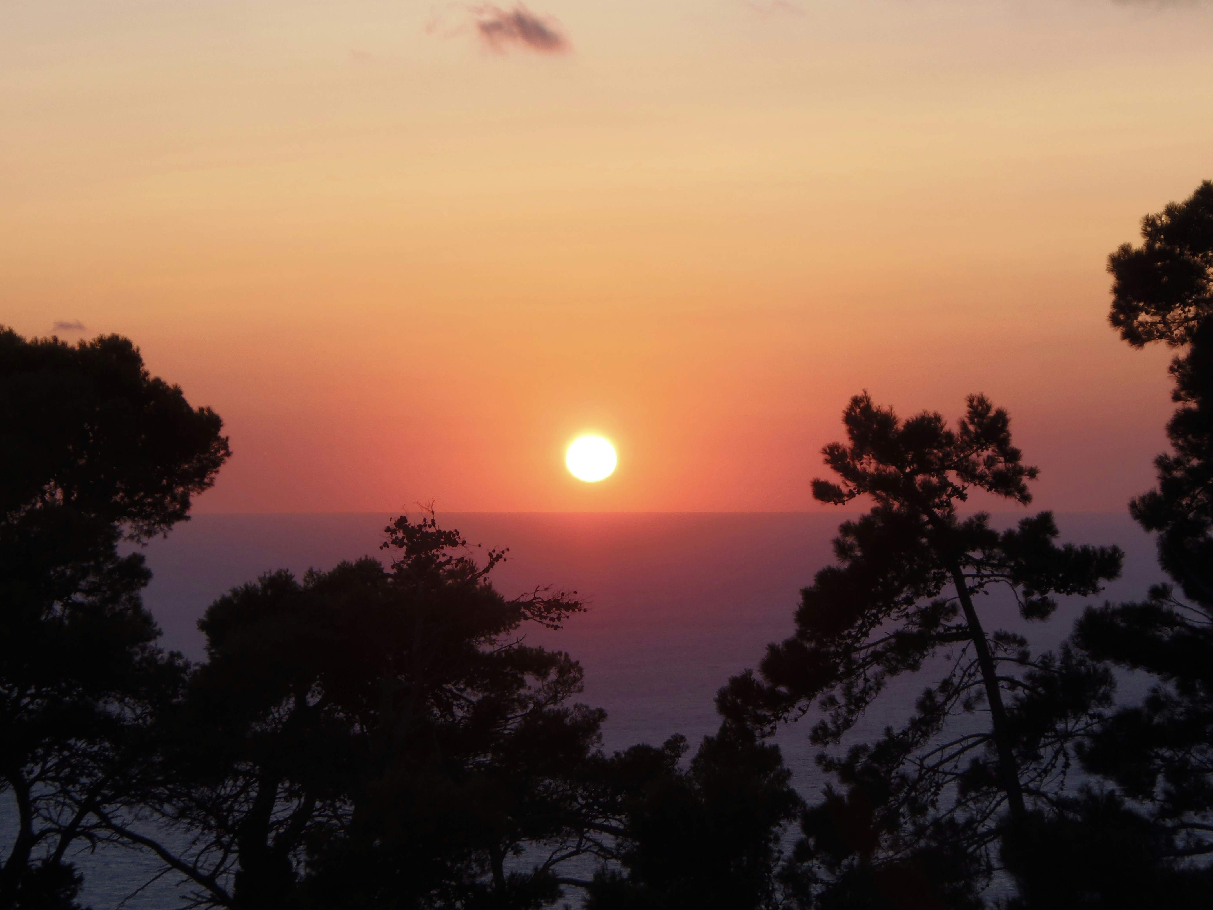 Foto Silueta de árboles durante la puesta del sol – Imagen Cefalonia ...