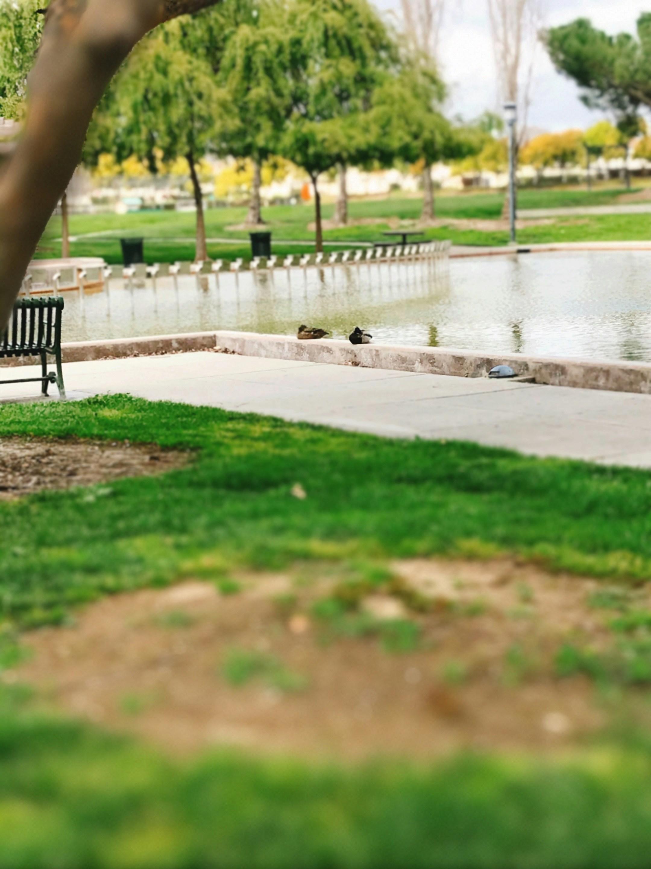 Serenity by the Waterside