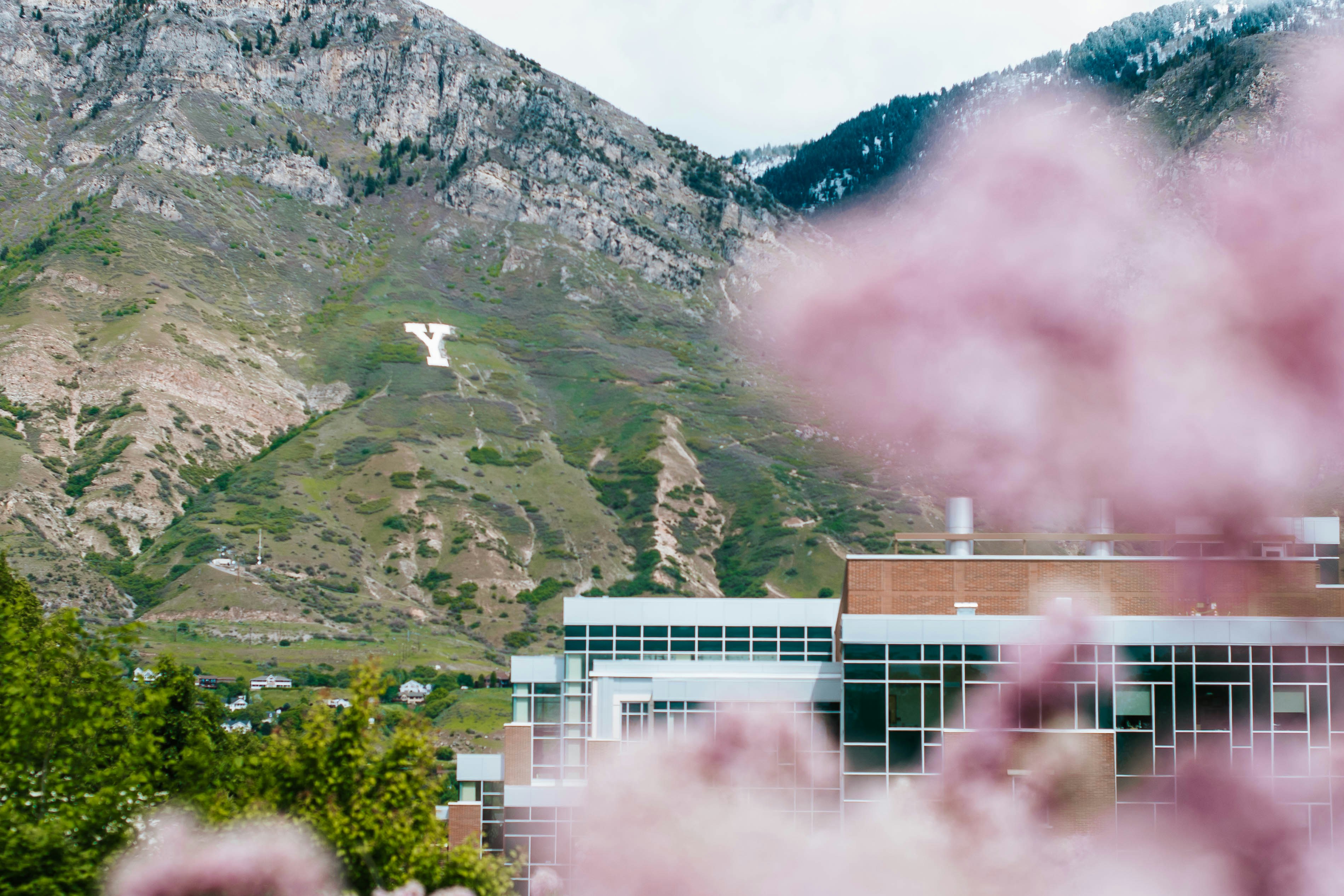 Lilacs blur in the foreground with Y Mountain and a campus building in the background.