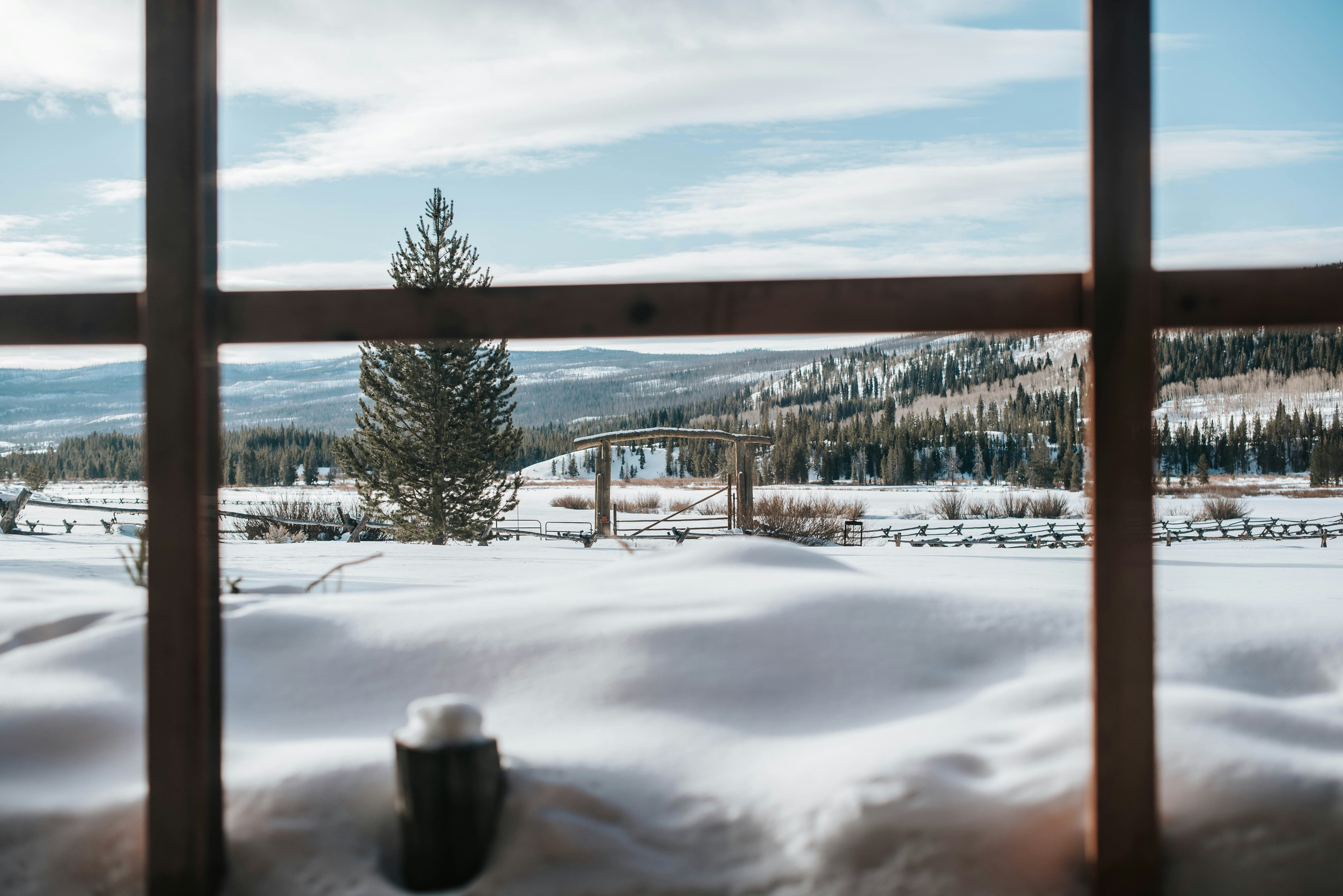 Nikon D750 sample photo - 5MBHC85loh - ExploreCams