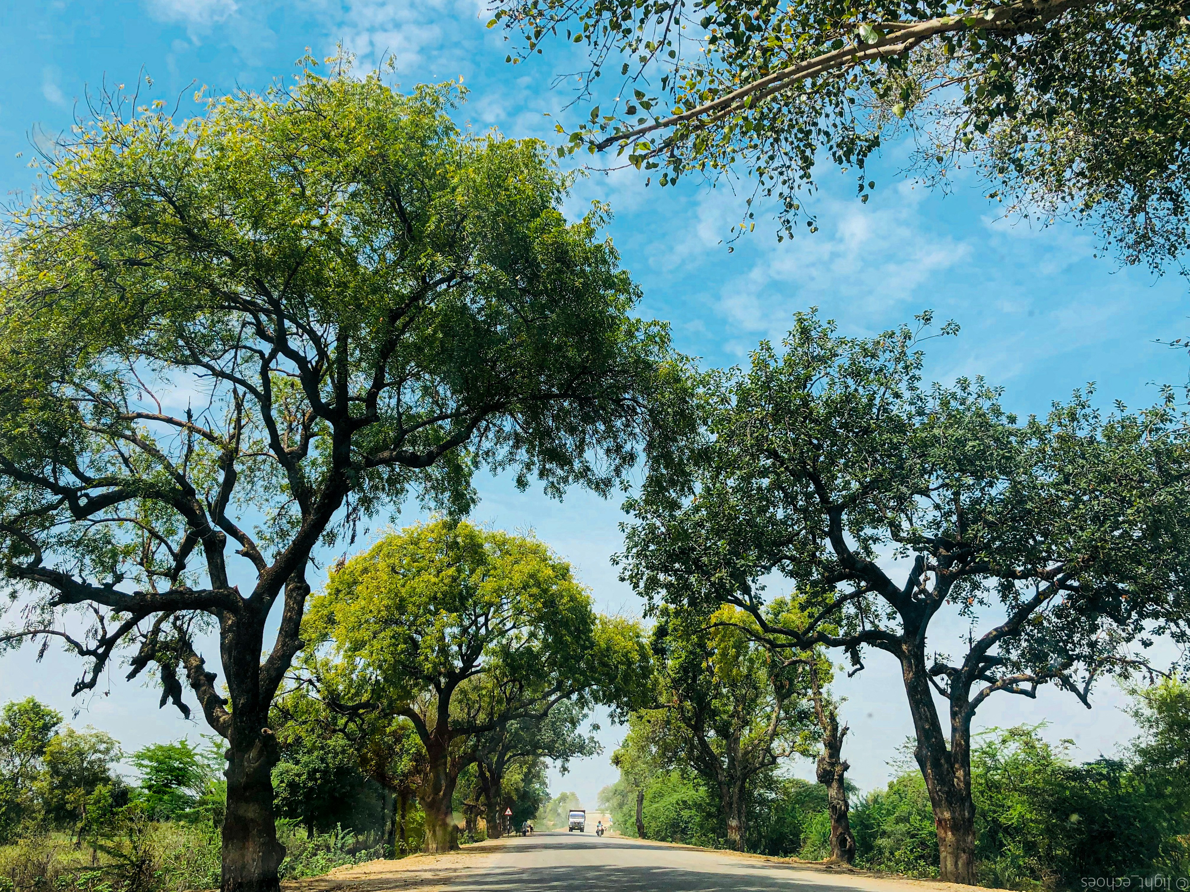 Green trees near road during daytime photo – Free Road Image on Unsplash
