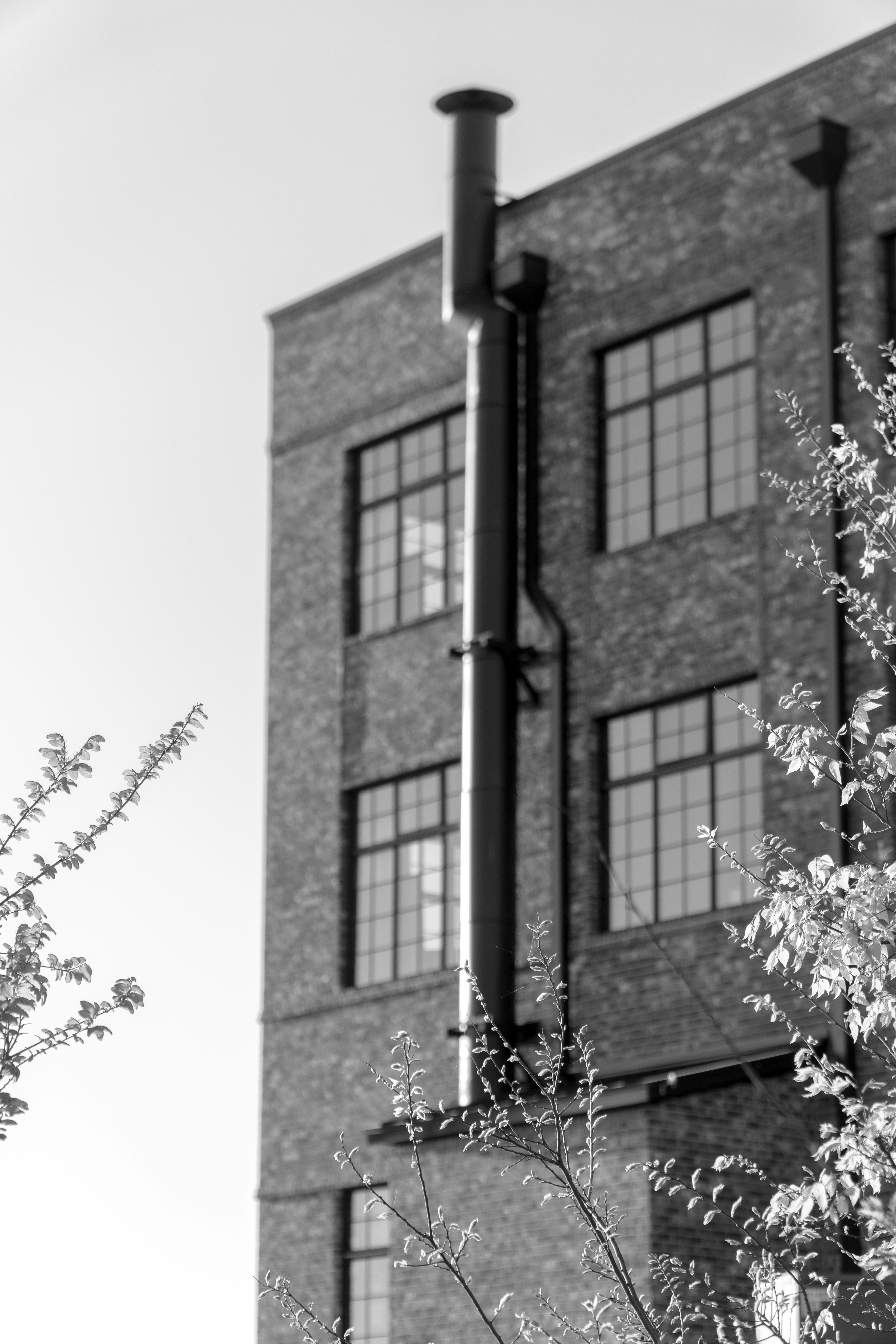 Black and white image of a brick industrial building with tall windows and a chimney, framed by tree branches.