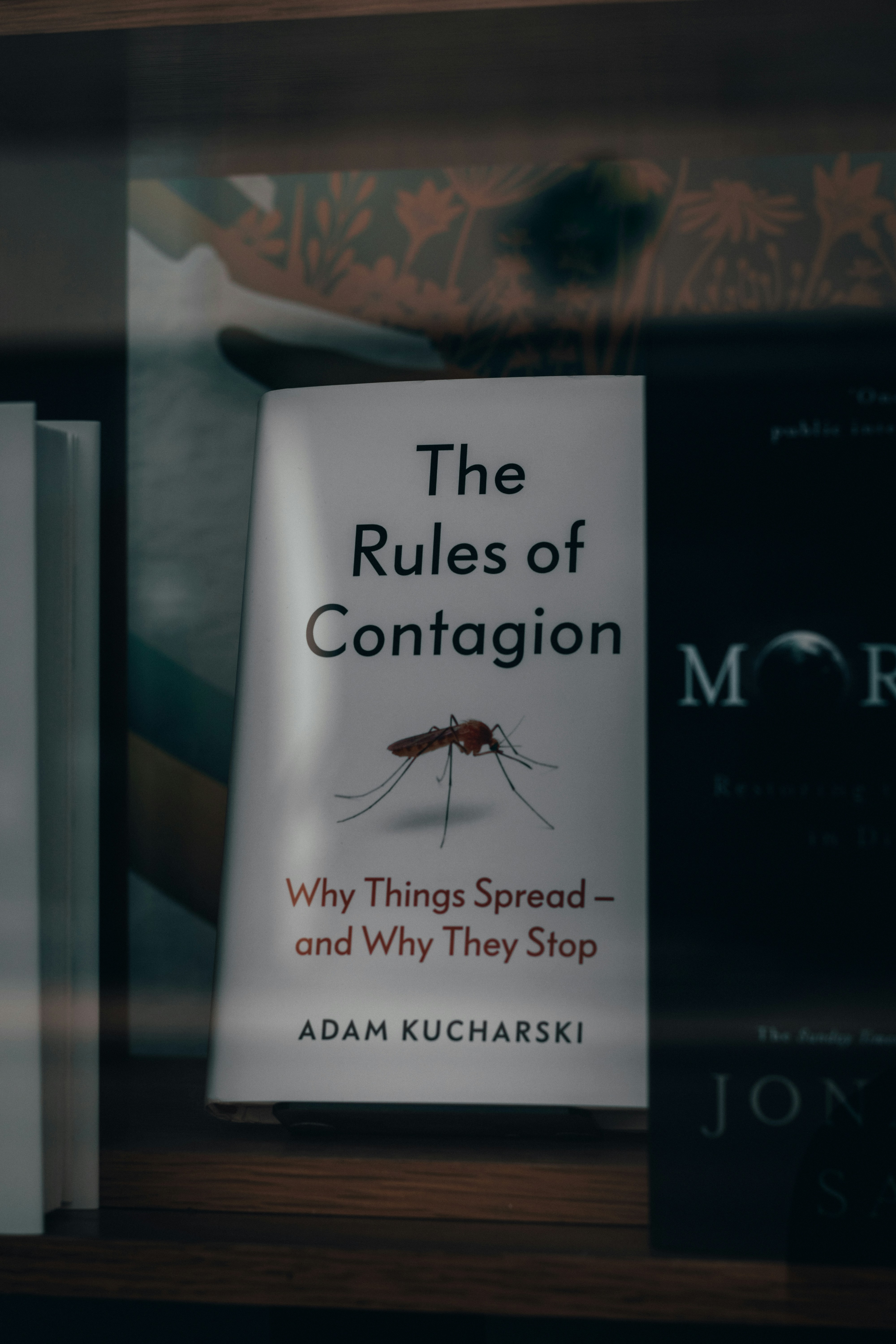 Définition de contagion | Dictionnaire français