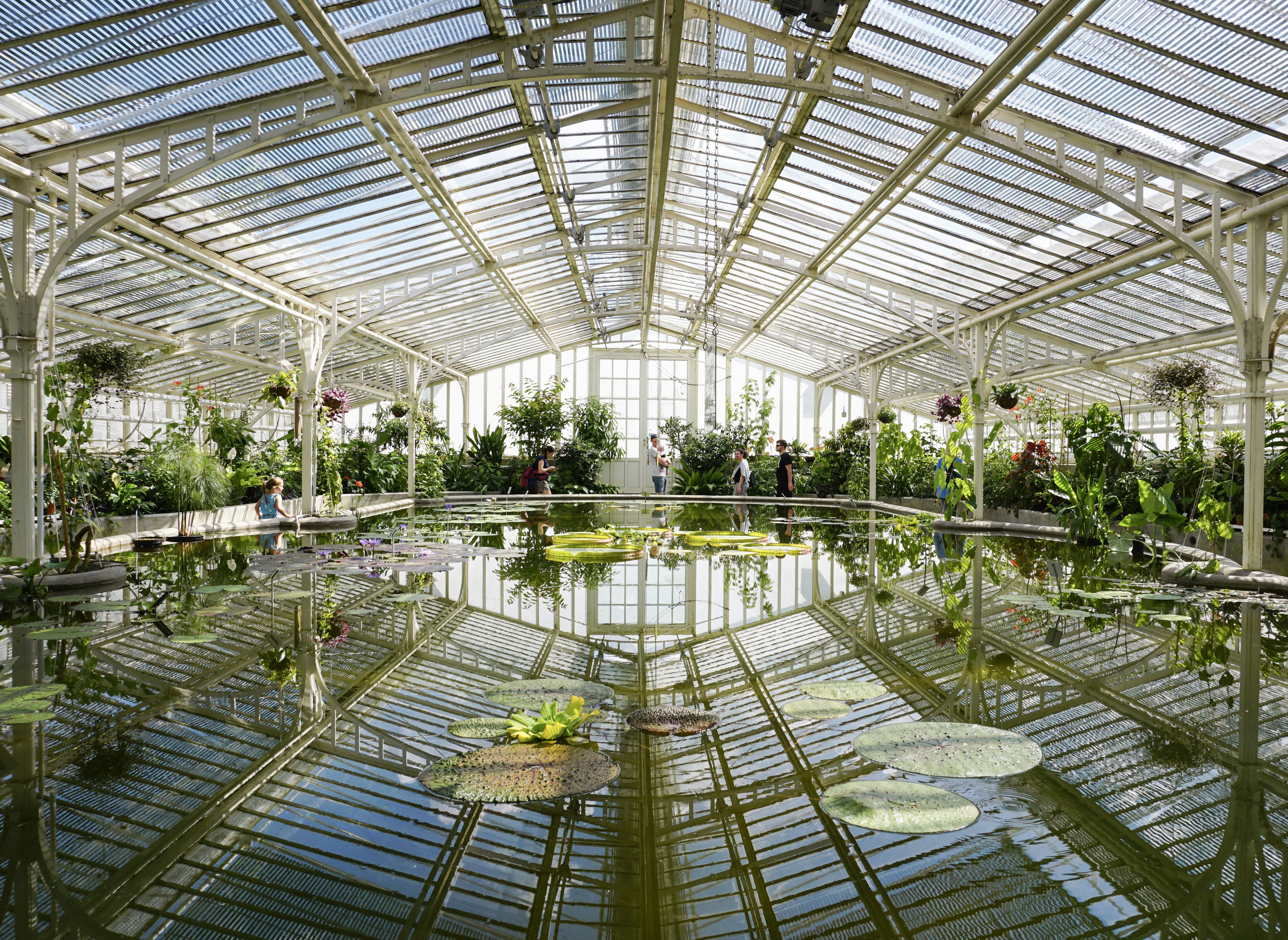 botanical garden in Munich, Germany | green plants inside white metal frame