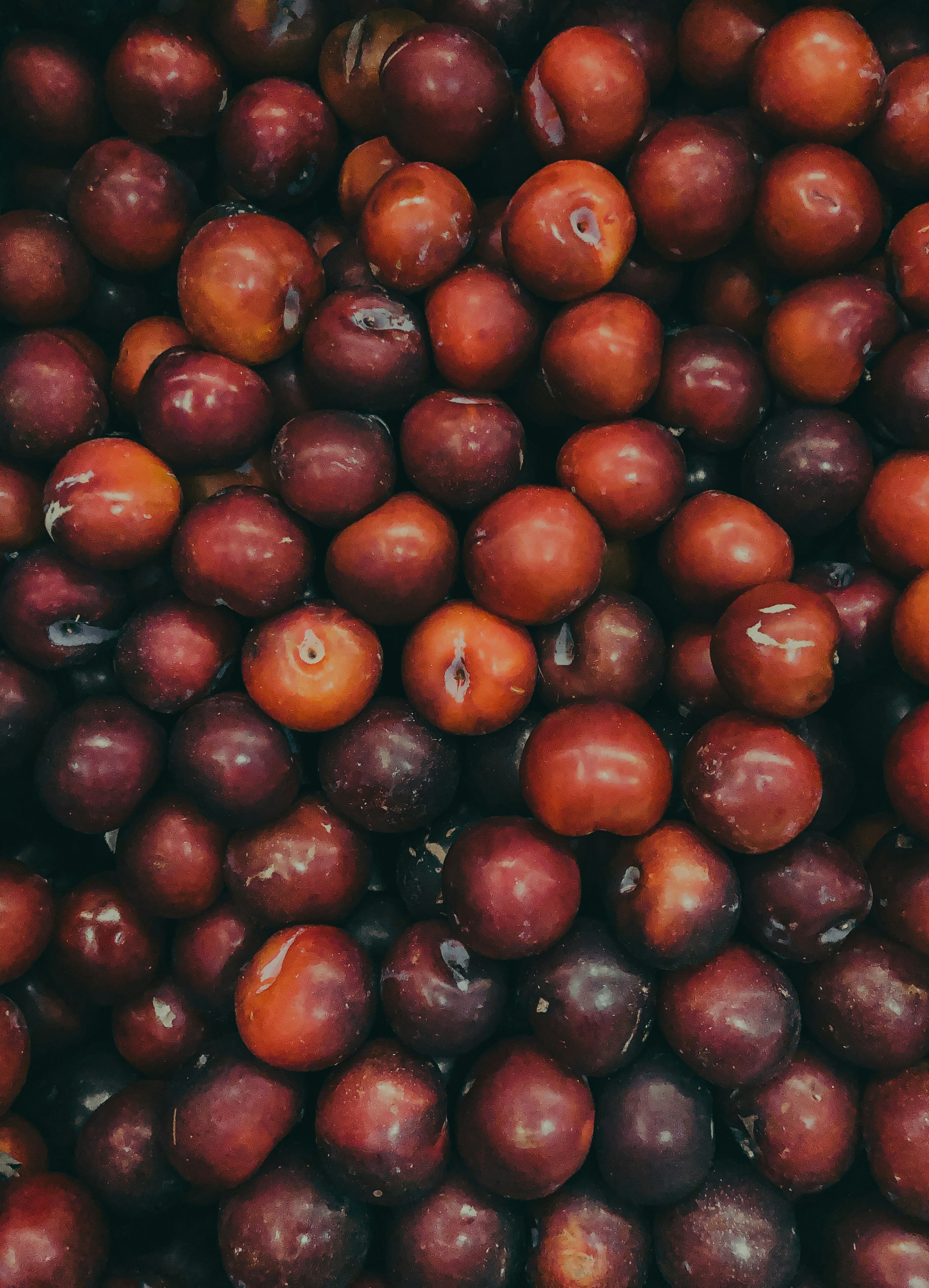 Red round fruits on white textile photo – Free Argentina Image on Unsplash