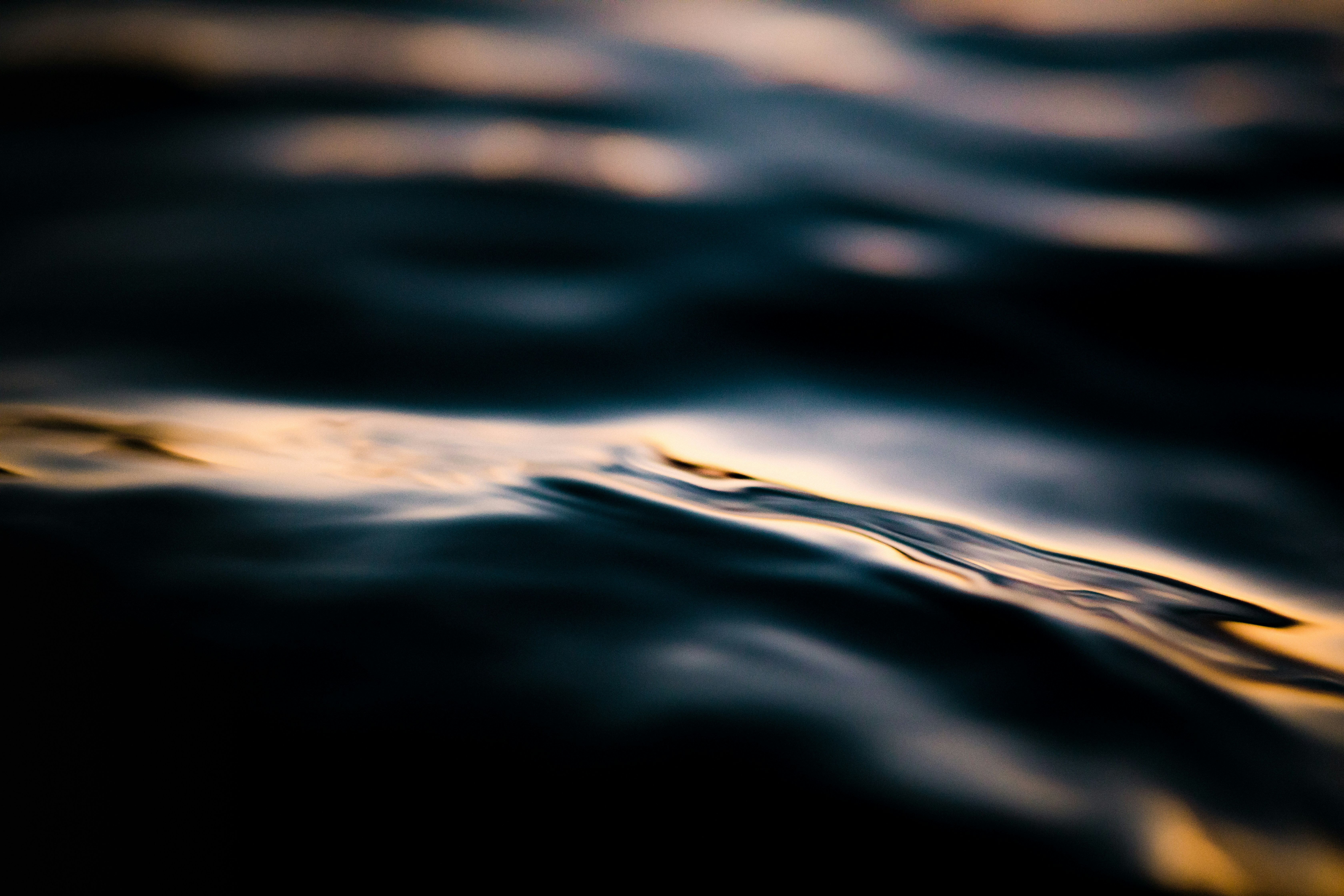 Water drop on body of water photo – Free Water Image on Unsplash