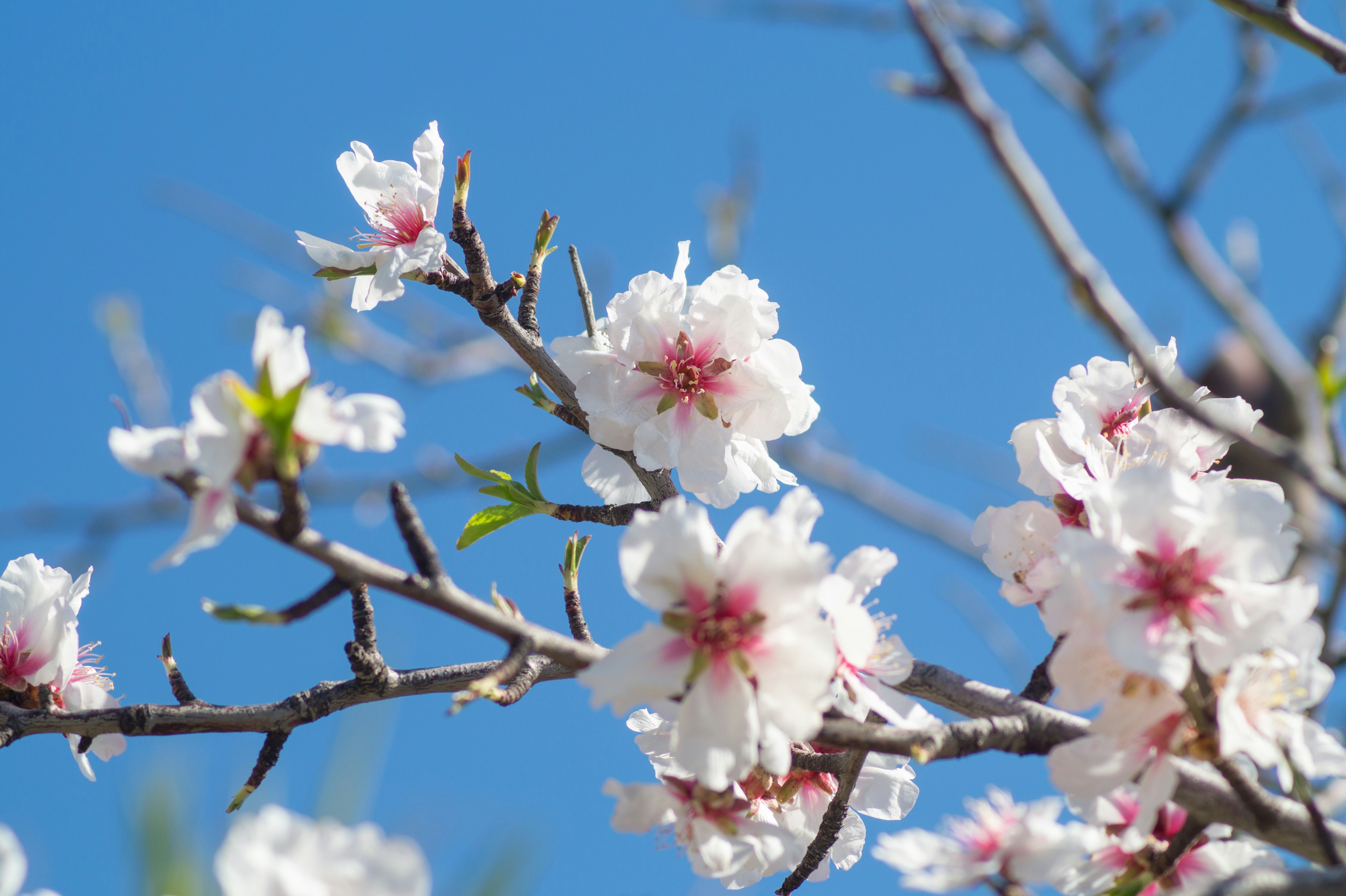 Andros Pictures | Download Free Images on Unsplash