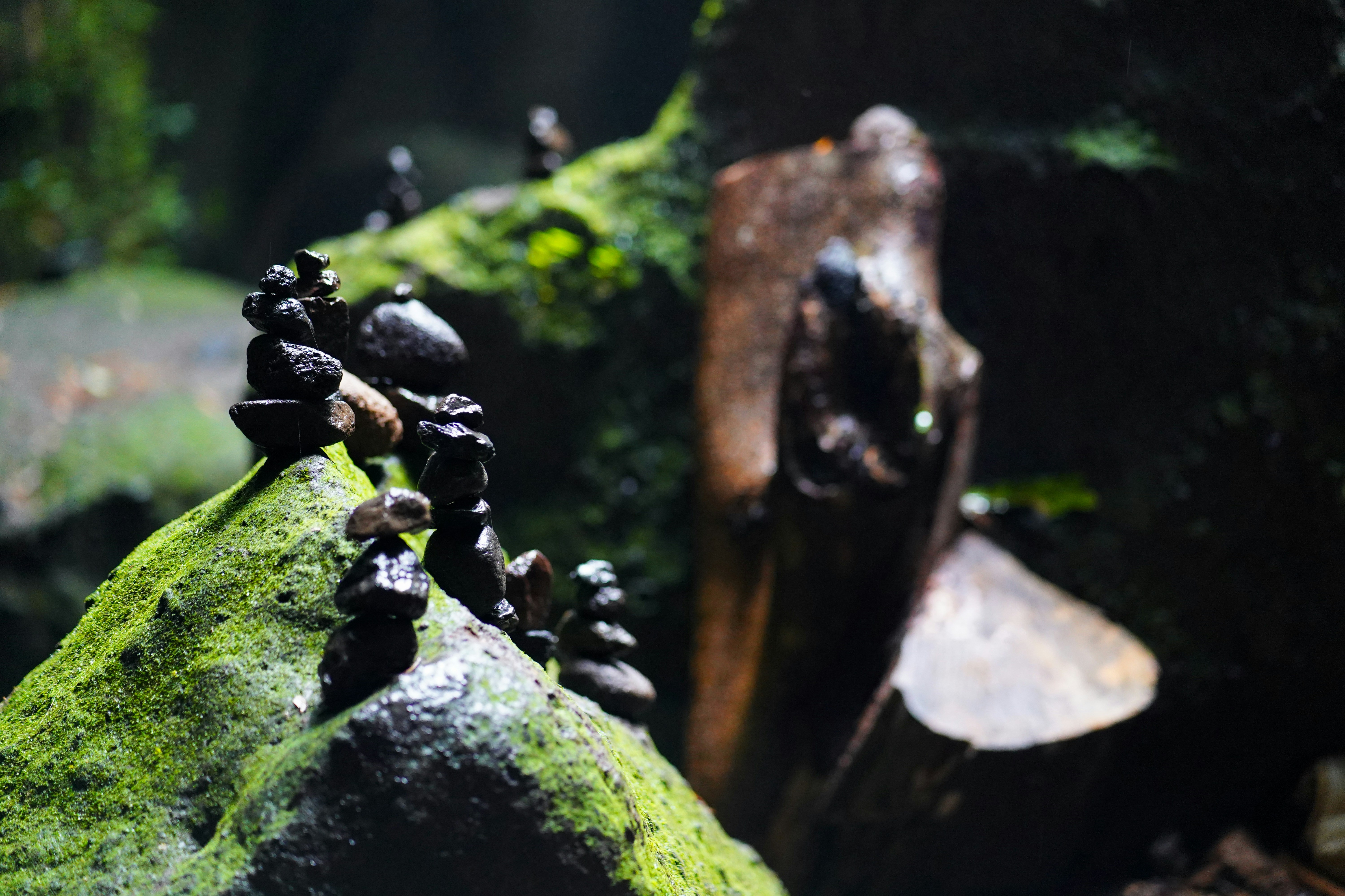 Moss-Crowned Stack: A Quiet Gesture of Stones in a Forest Nook