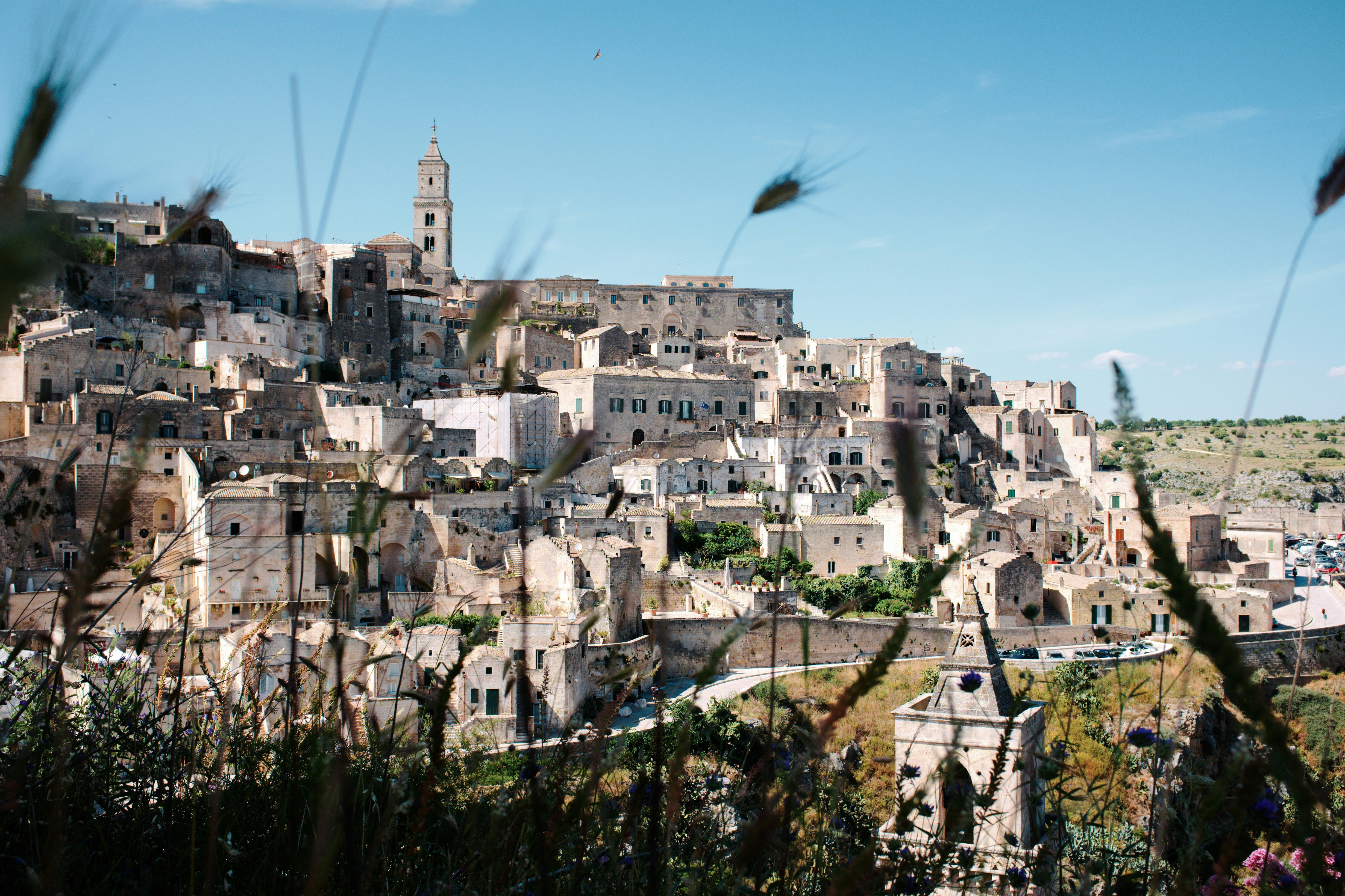 Ancient stone cityscape viewed through foreground grasses under a clear blue sky.