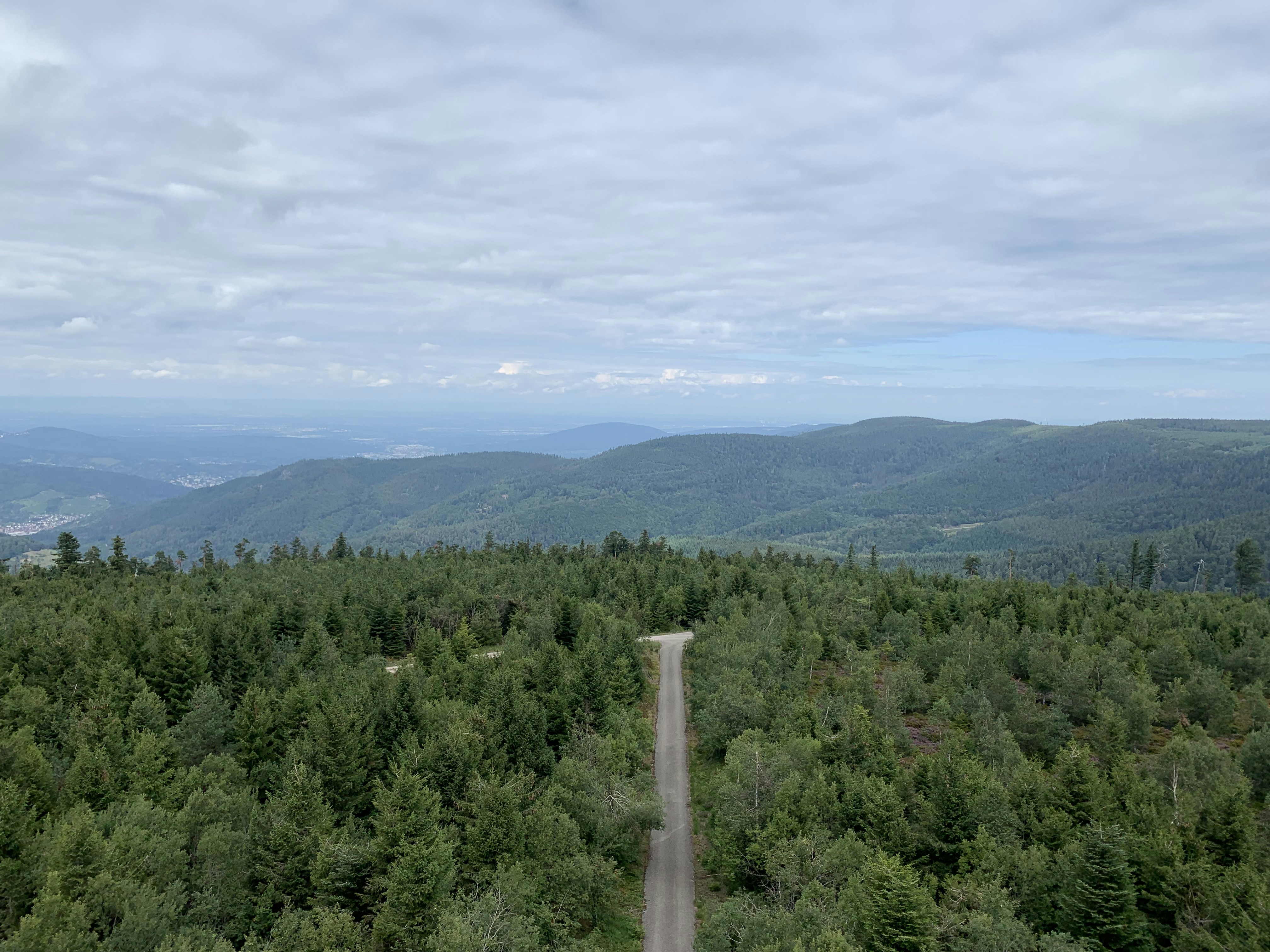 A winding dirt road stretches through a dense forest, leading into the serene mountains under a cloudy sky.