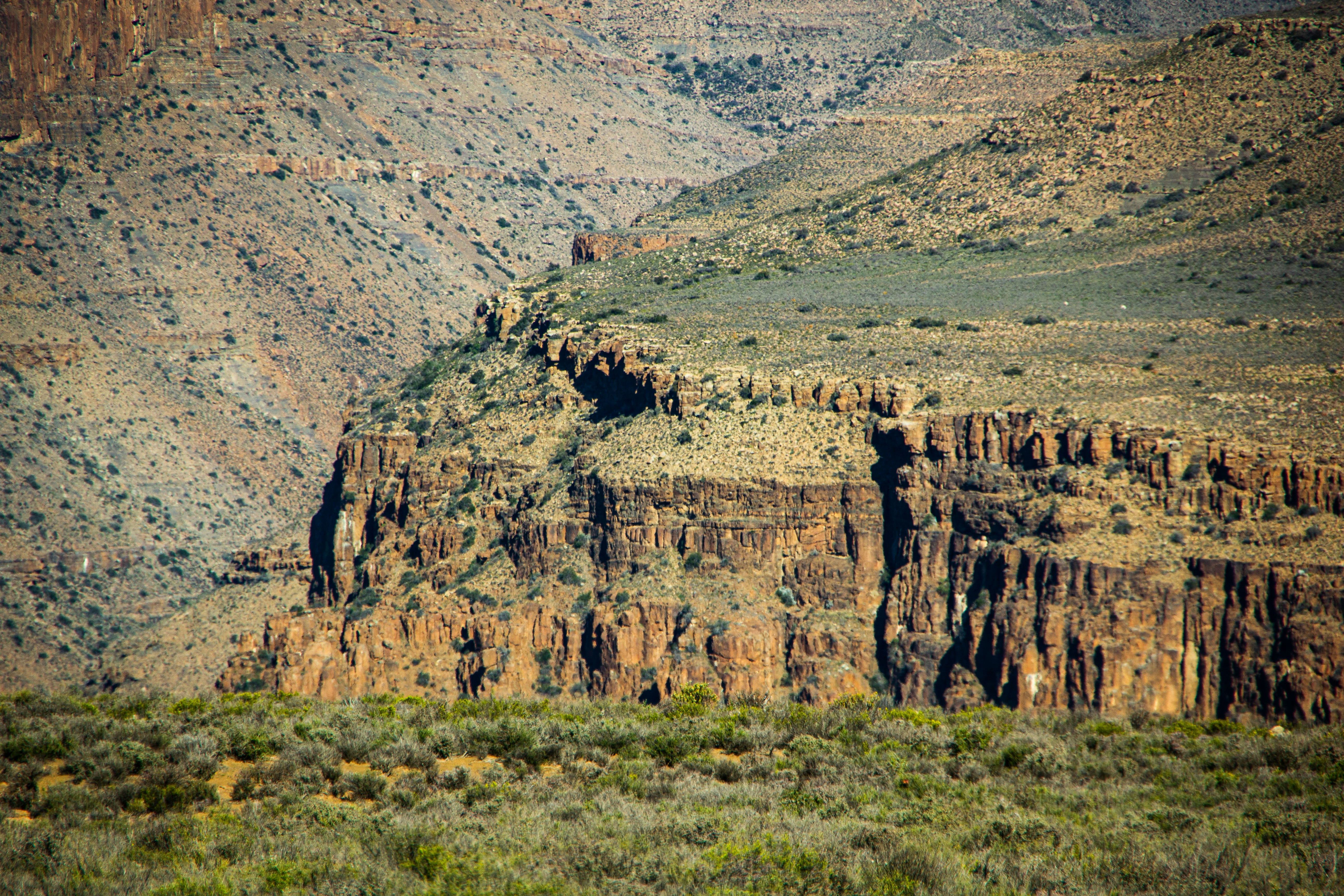Définition de expansé | Dictionnaire français