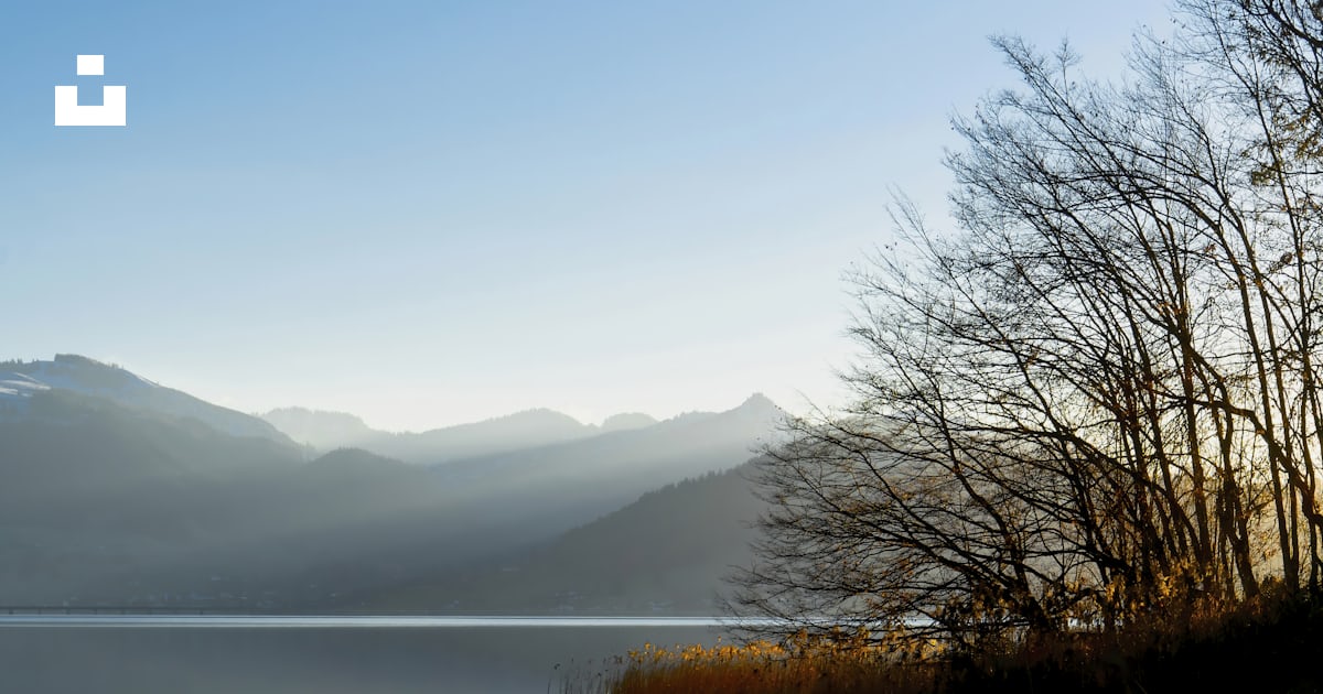 Brown Grass Near Body Of Water During Daytime Photo Free Sihlsee