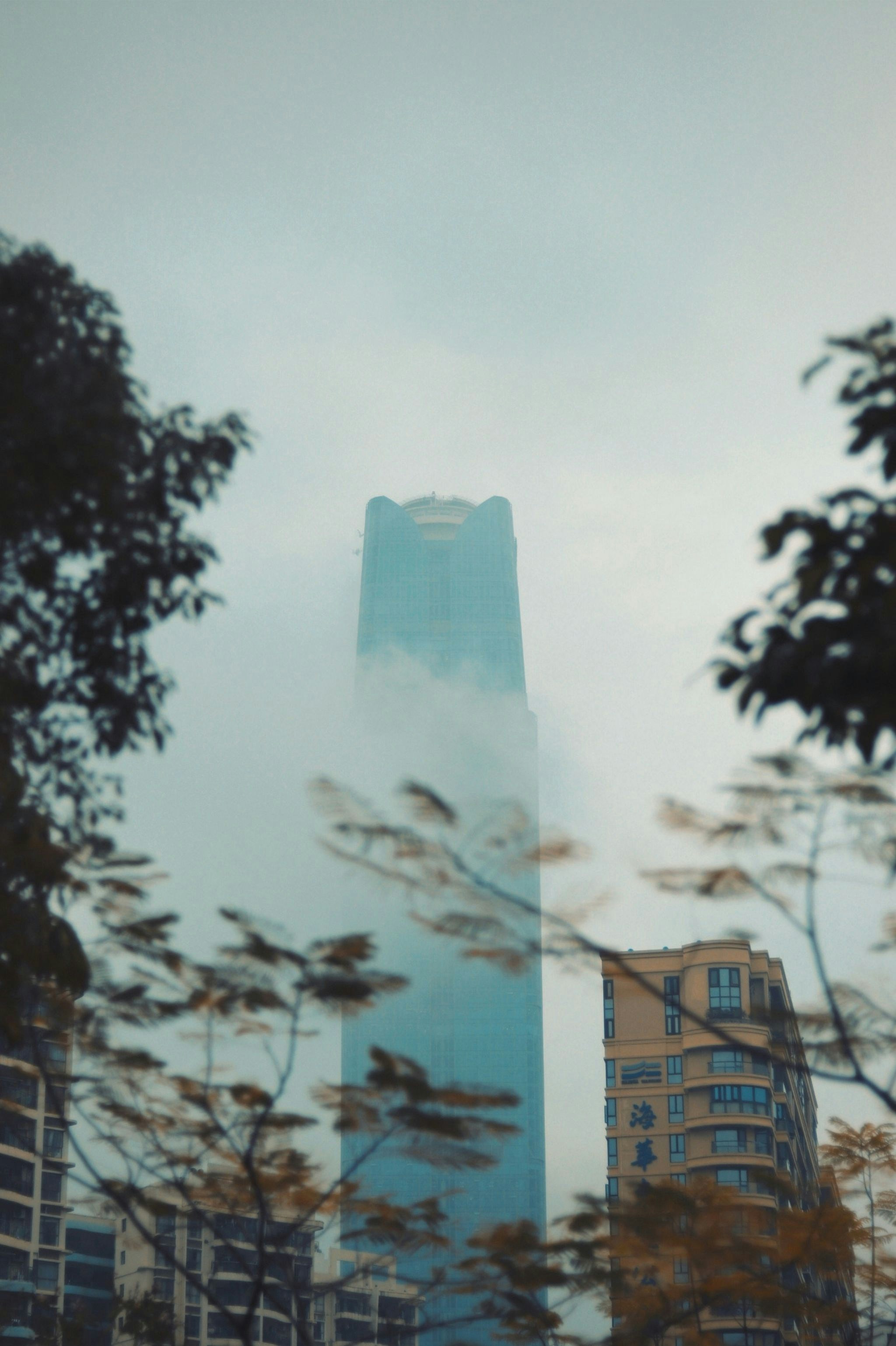 A towering skyscraper partially obscured by fog, framed by lush foliage and urban architecture. The scene evokes a sense of mystery and modernity.