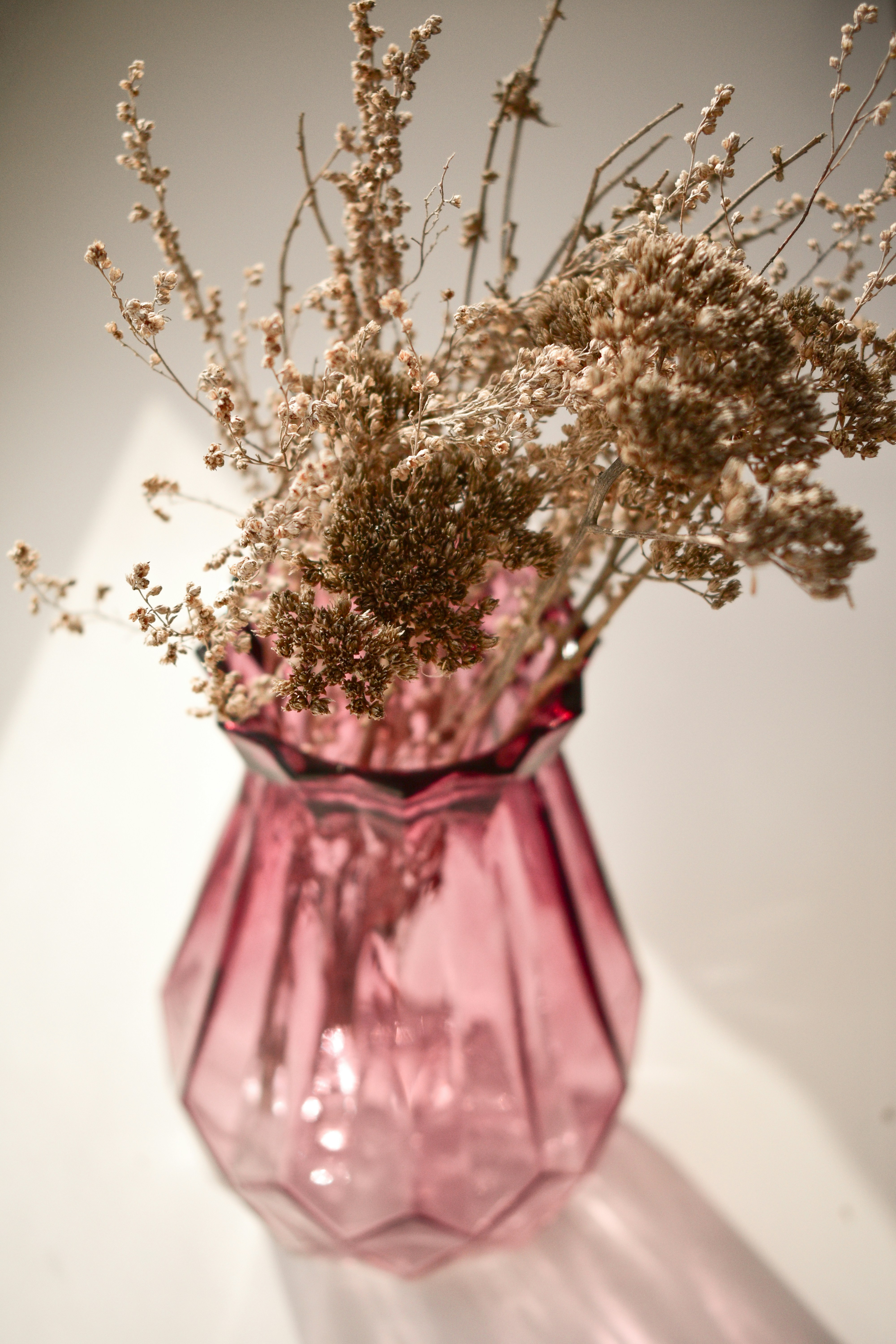 Delicate dried flowers arranged in a pink geometric vase, casting soft shadows on a light surface.