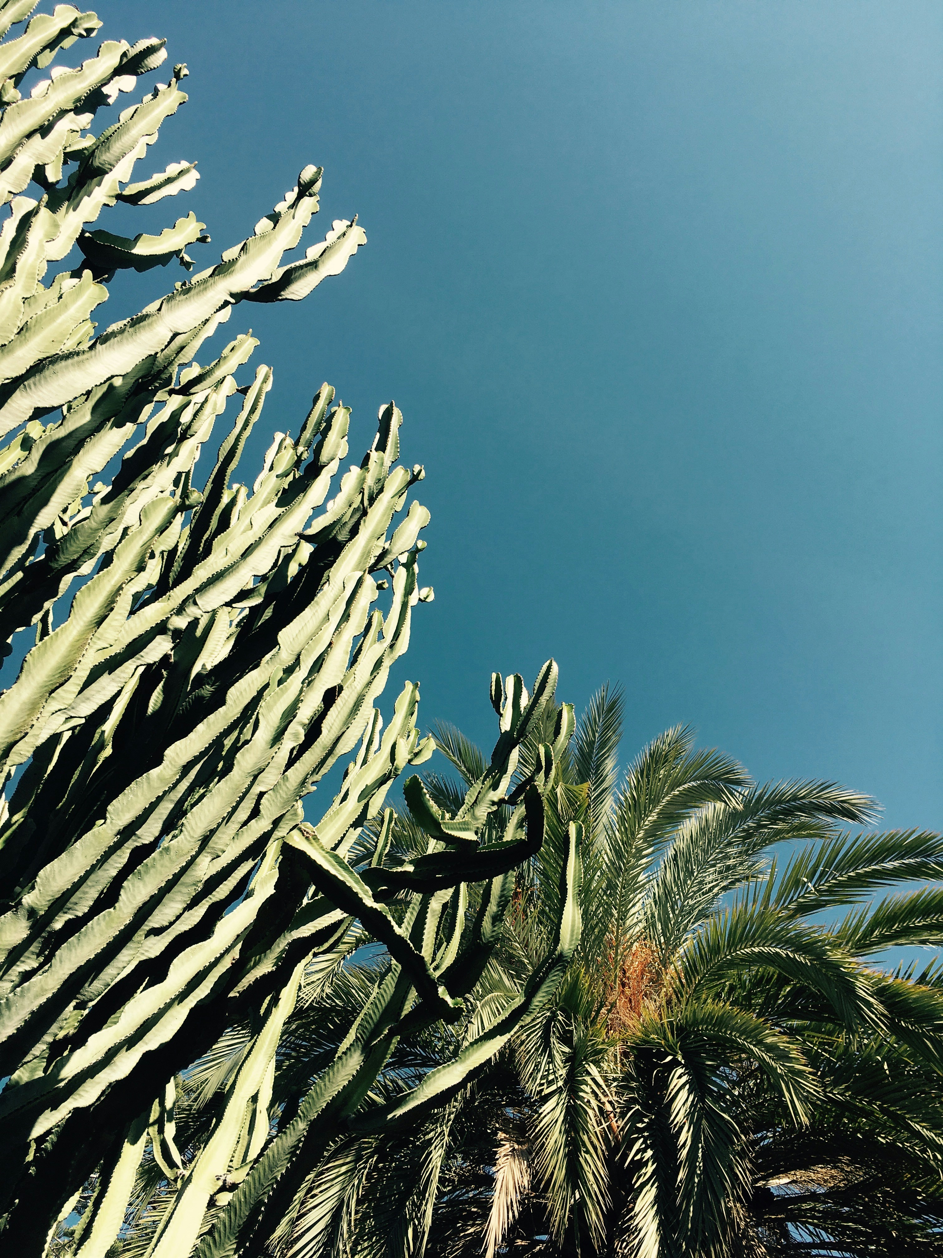 Sunlit Spine Against a Pristine Desert Sky